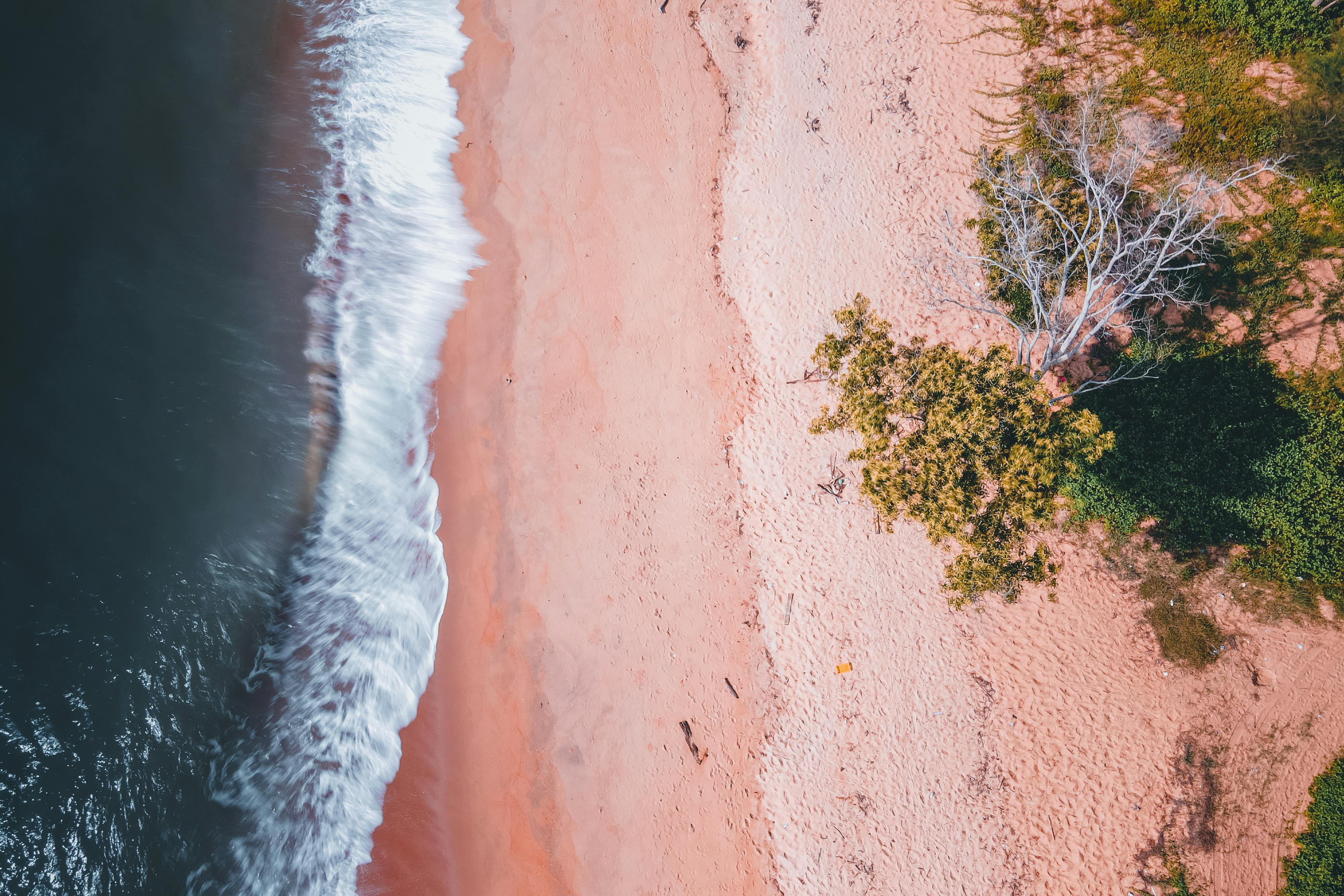Drone Shot of a Beach · Free Stock Photo
