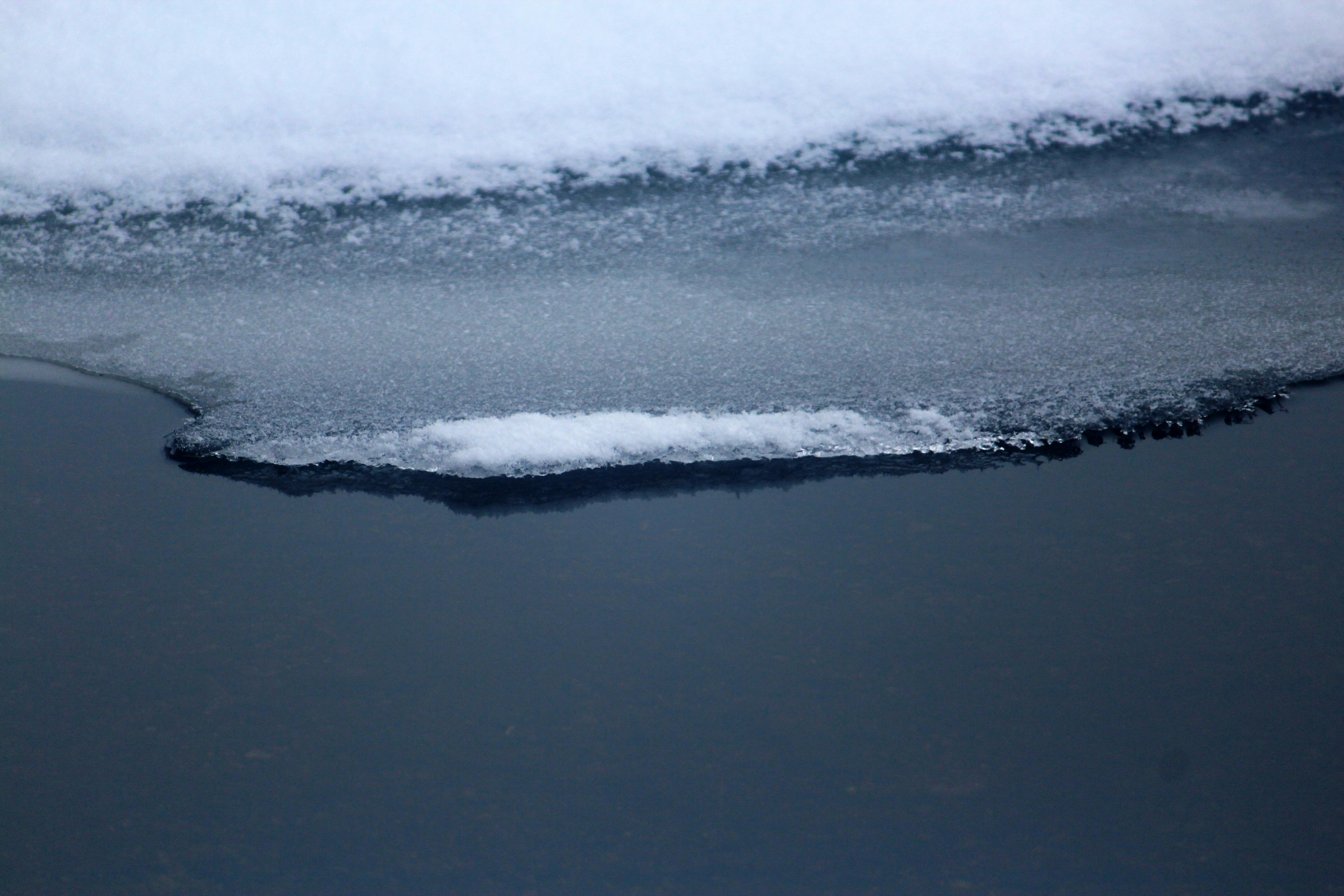 Close-up of a Frozen Ice Sheet on Water · Free Stock Photo