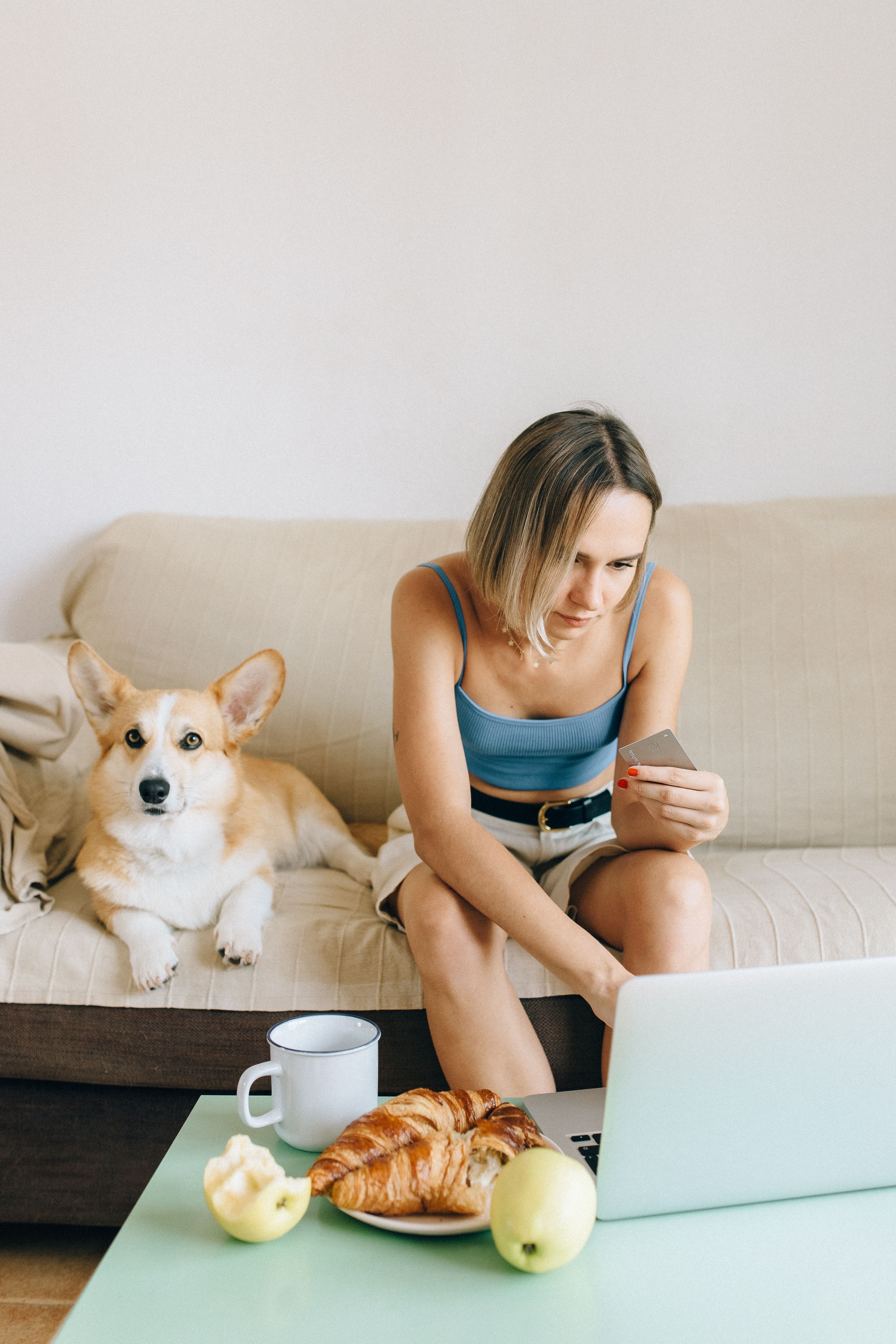 Dog With Credit Card Photos, Download The BEST Free Dog With Credit ...