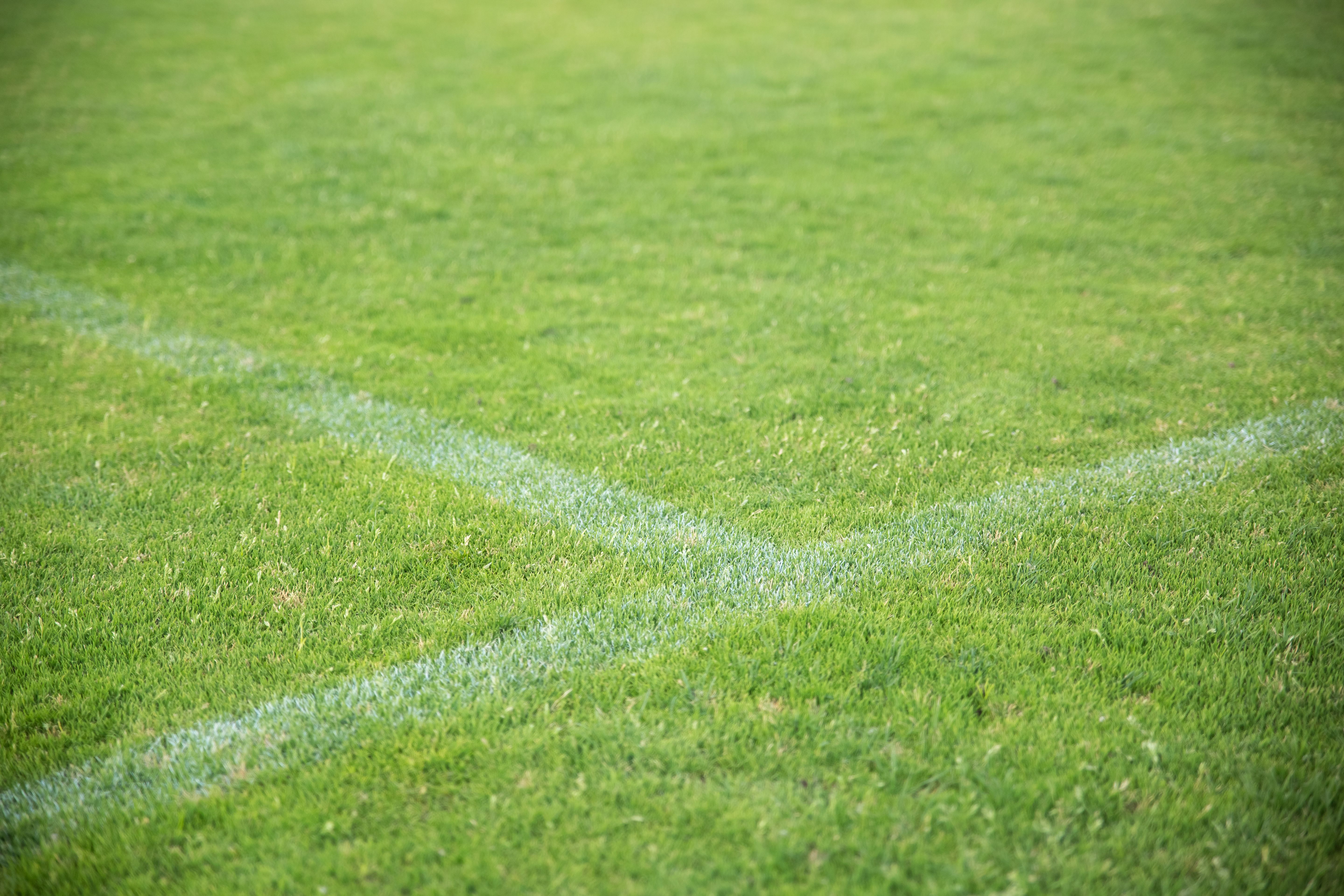 Green Grass Field · Free Stock Photo