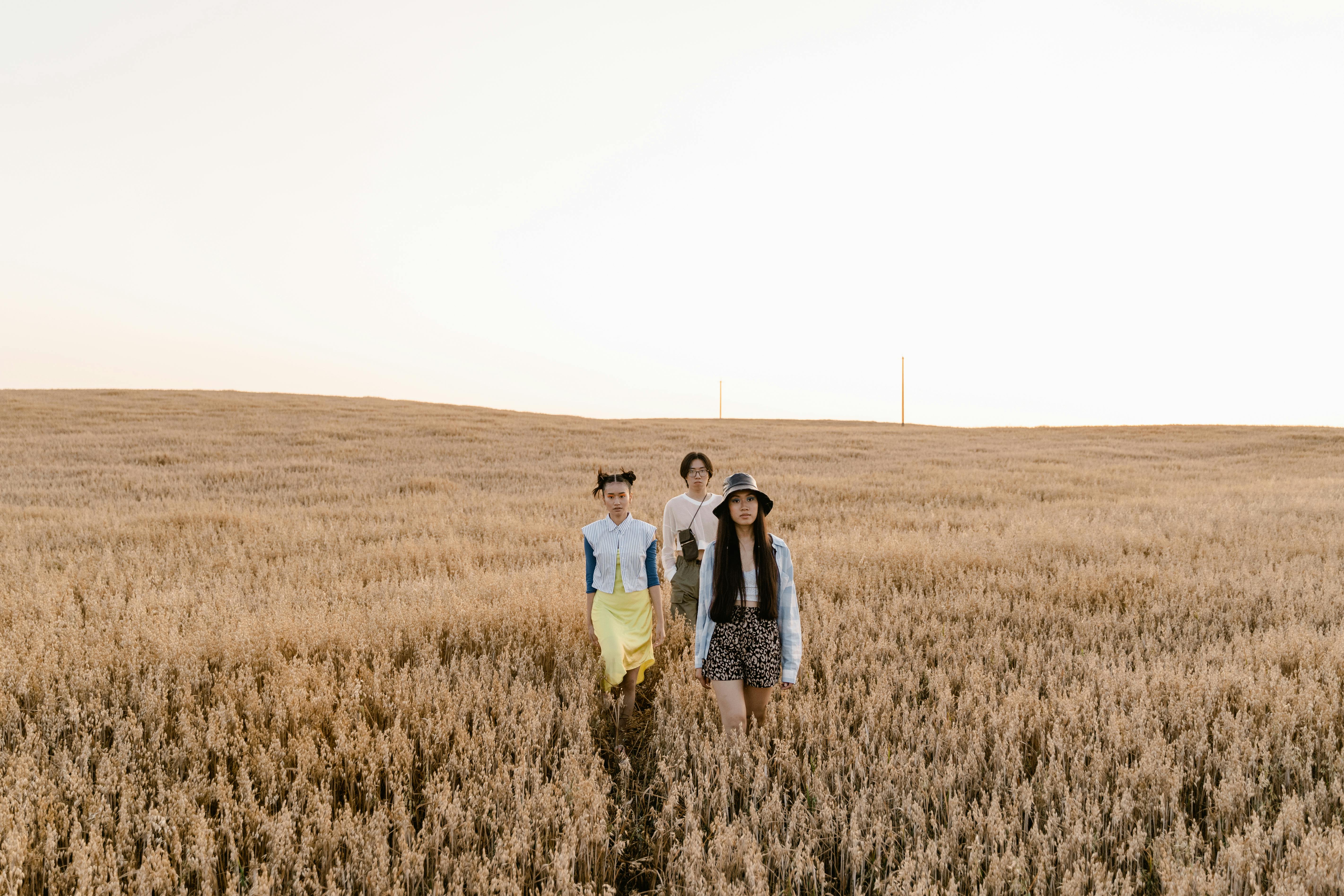 People Walking on Brown grass Field · Free Stock Photo