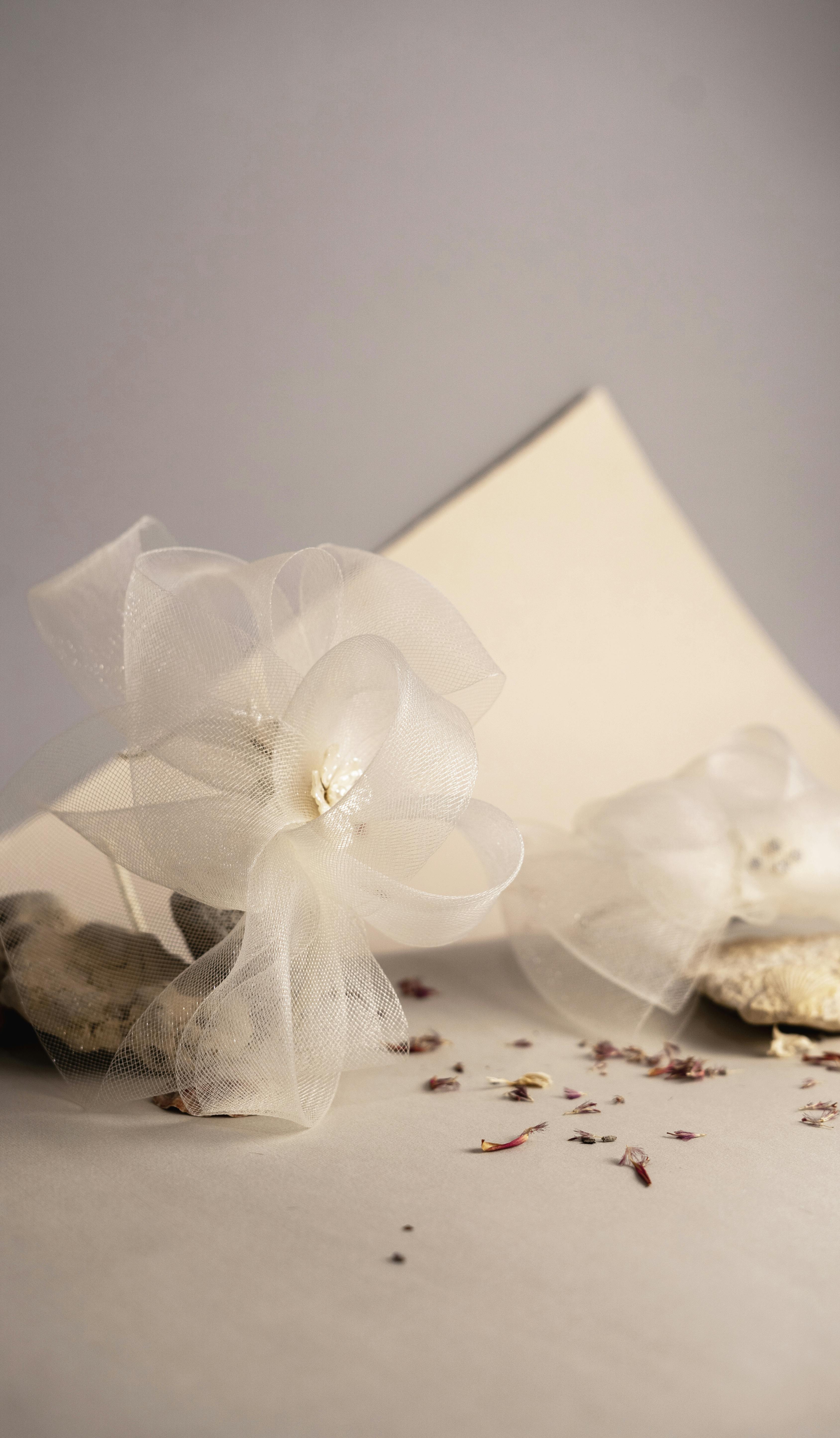 Gift Loop Photos, Download Free Gift Loop Stock Photos & HD Images