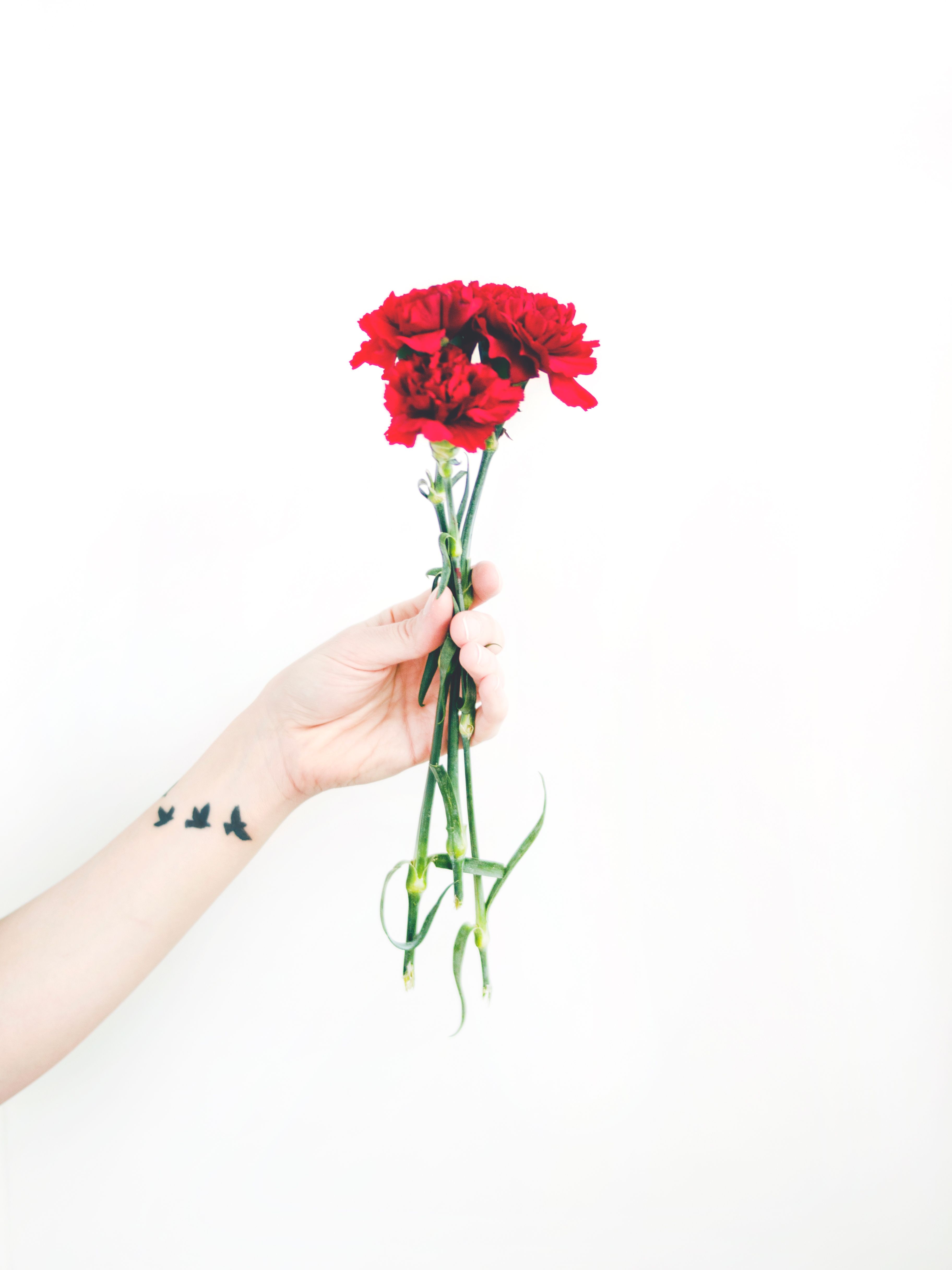 Holding Flowers Photos, Download The BEST Free Holding Flowers Stock ...