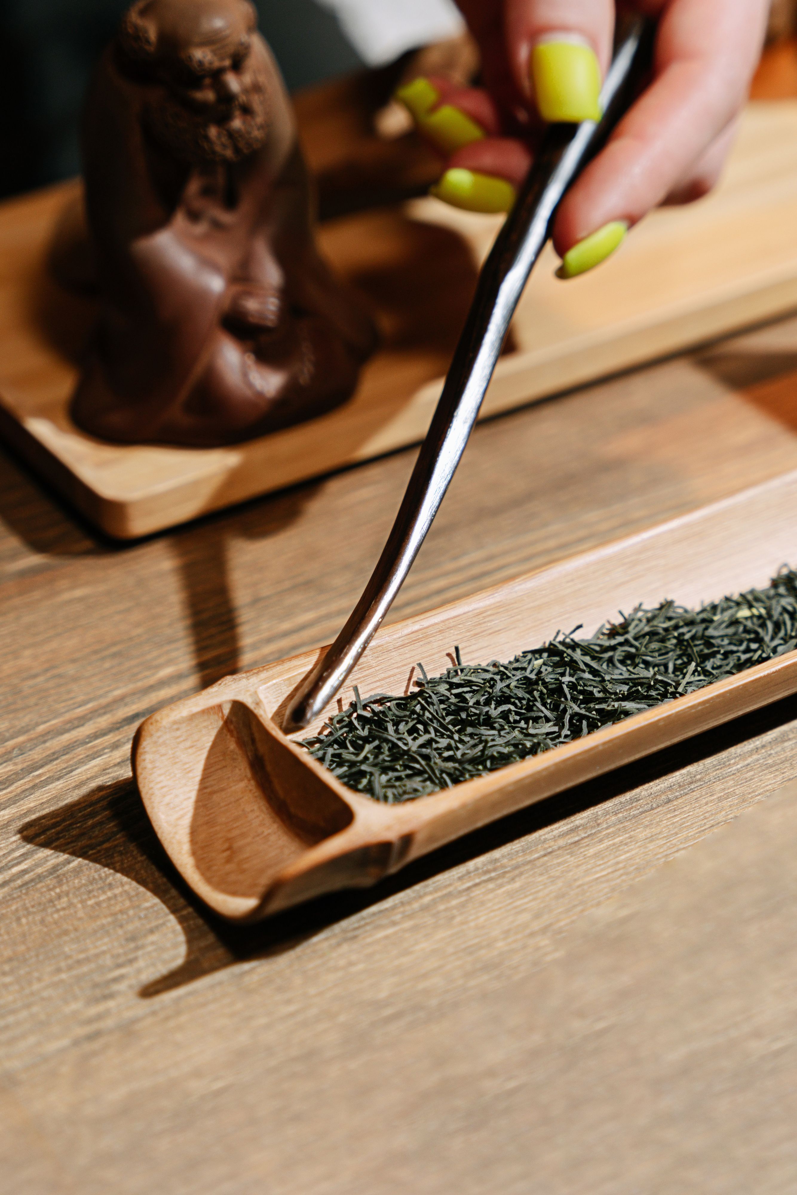 Woman Preparing Tea on Ceremony · Free Stock Photo