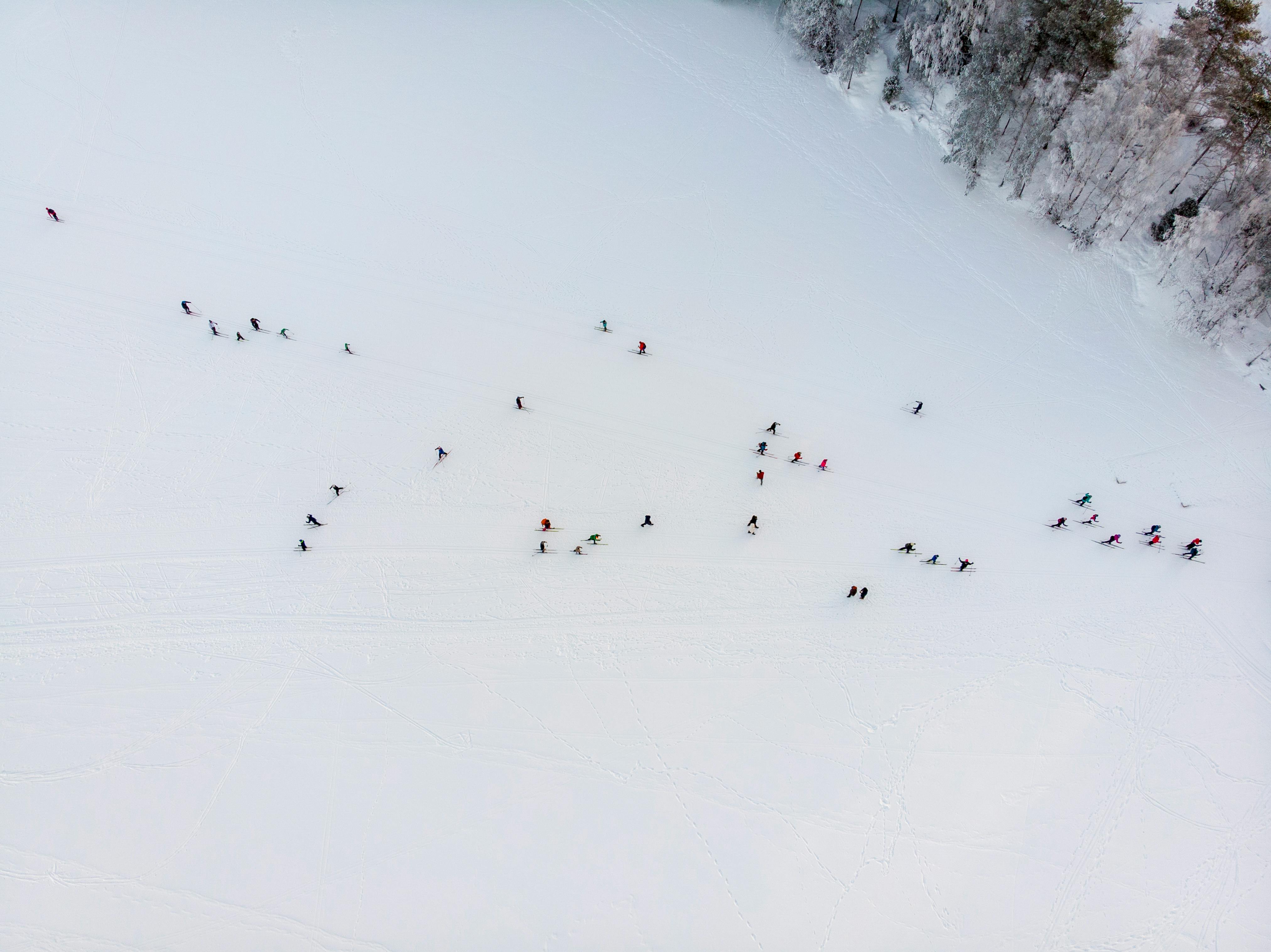 Skiers on Snow · Free Stock Photo