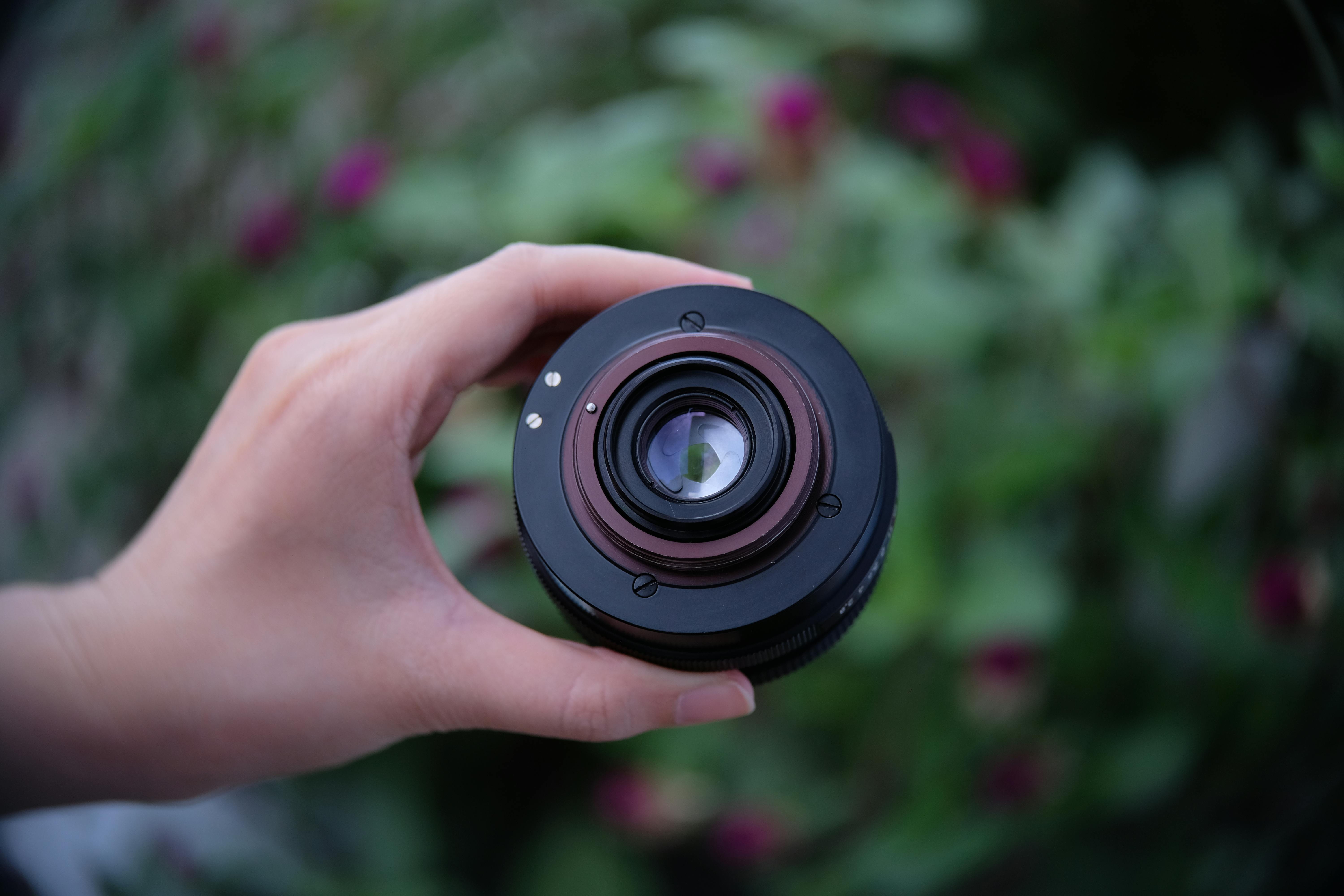Person Holding Black Dslr Camera · Free Stock Photo