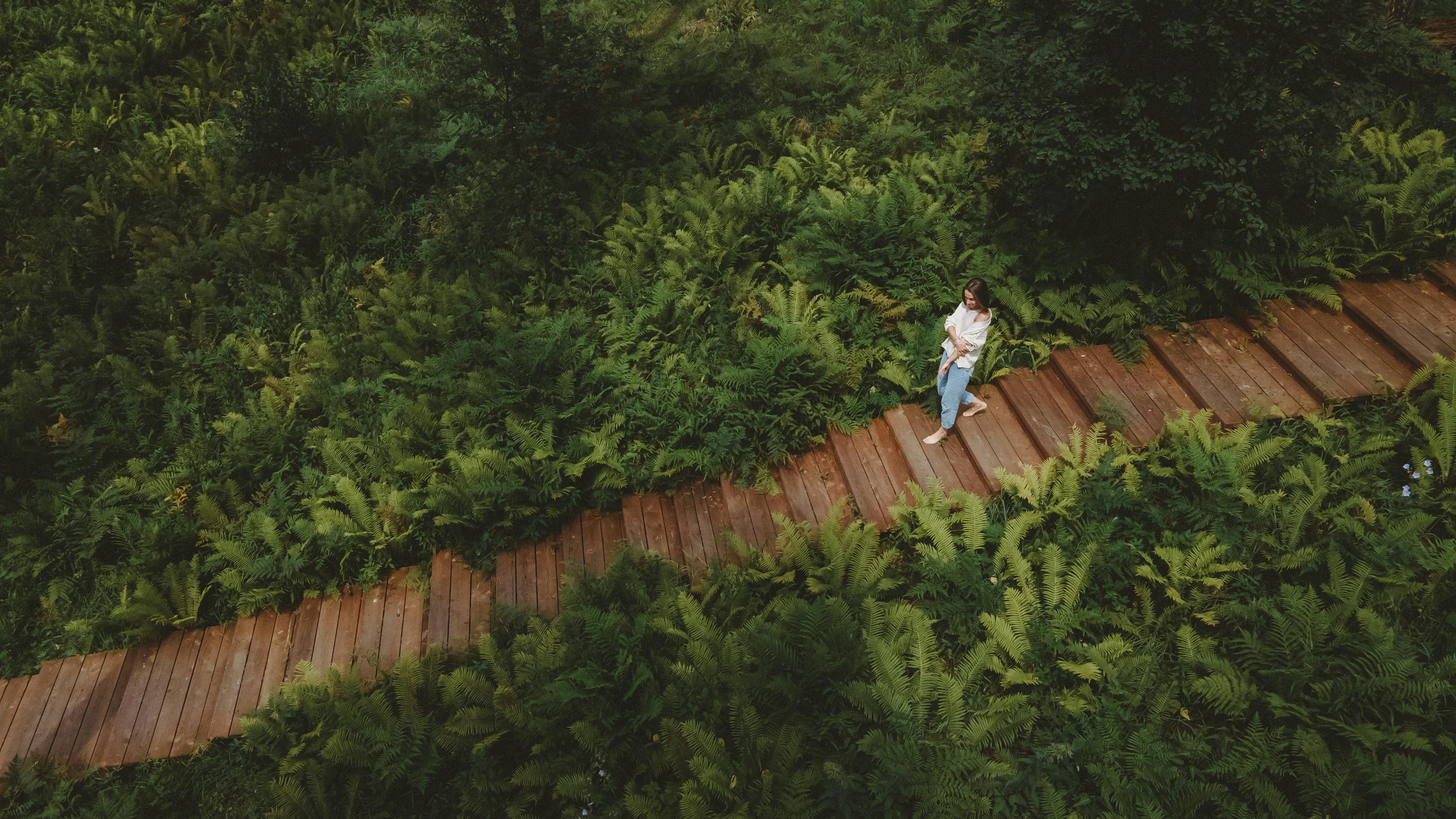 Brown Wooden Walk Path Near the Lagoon · Free Stock Photo
