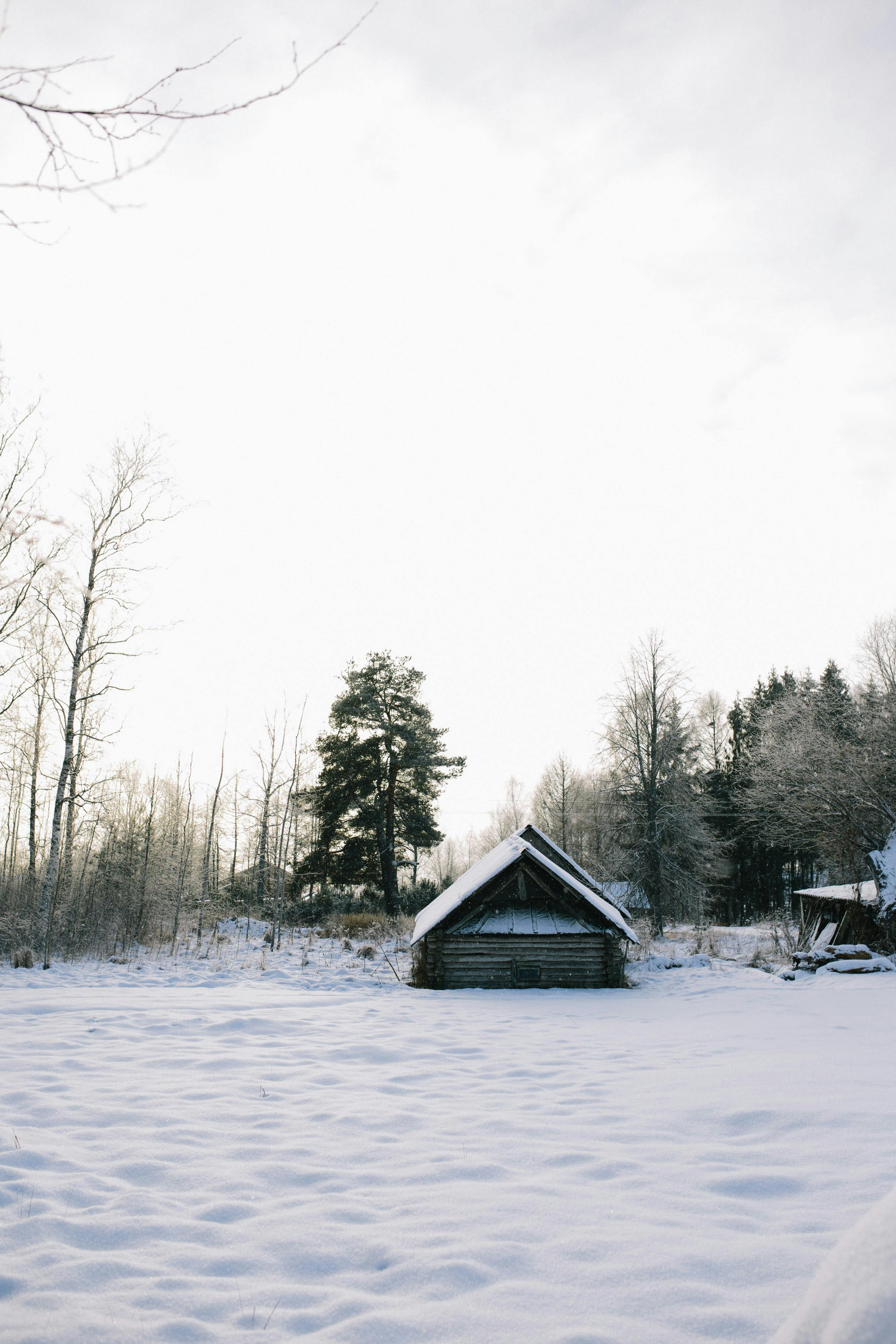 Structure with Roof on Snow Covered Ground · Free Stock Photo