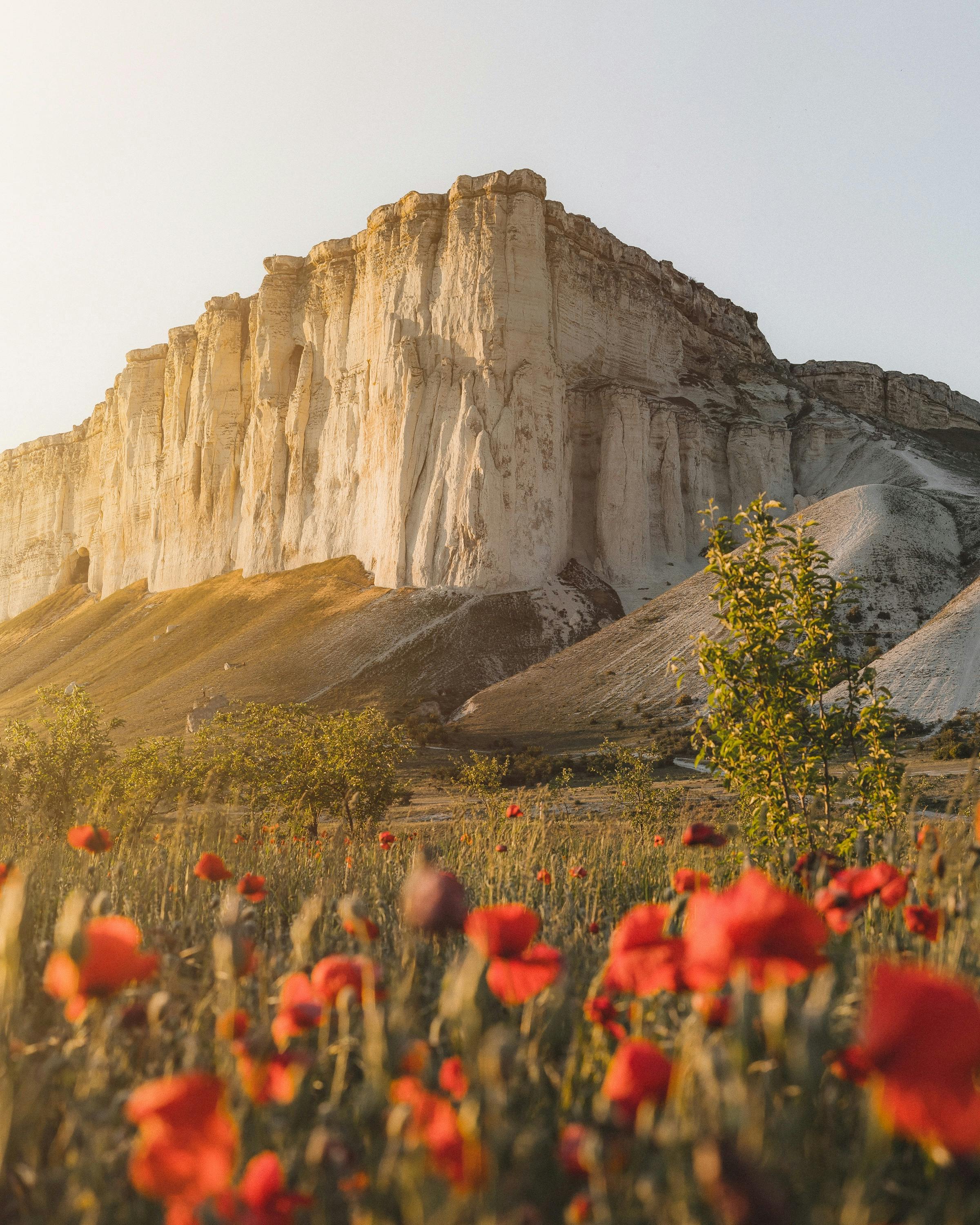 300+ Best Ukraine Photos · 100% Free Download · Pexels Stock Photos