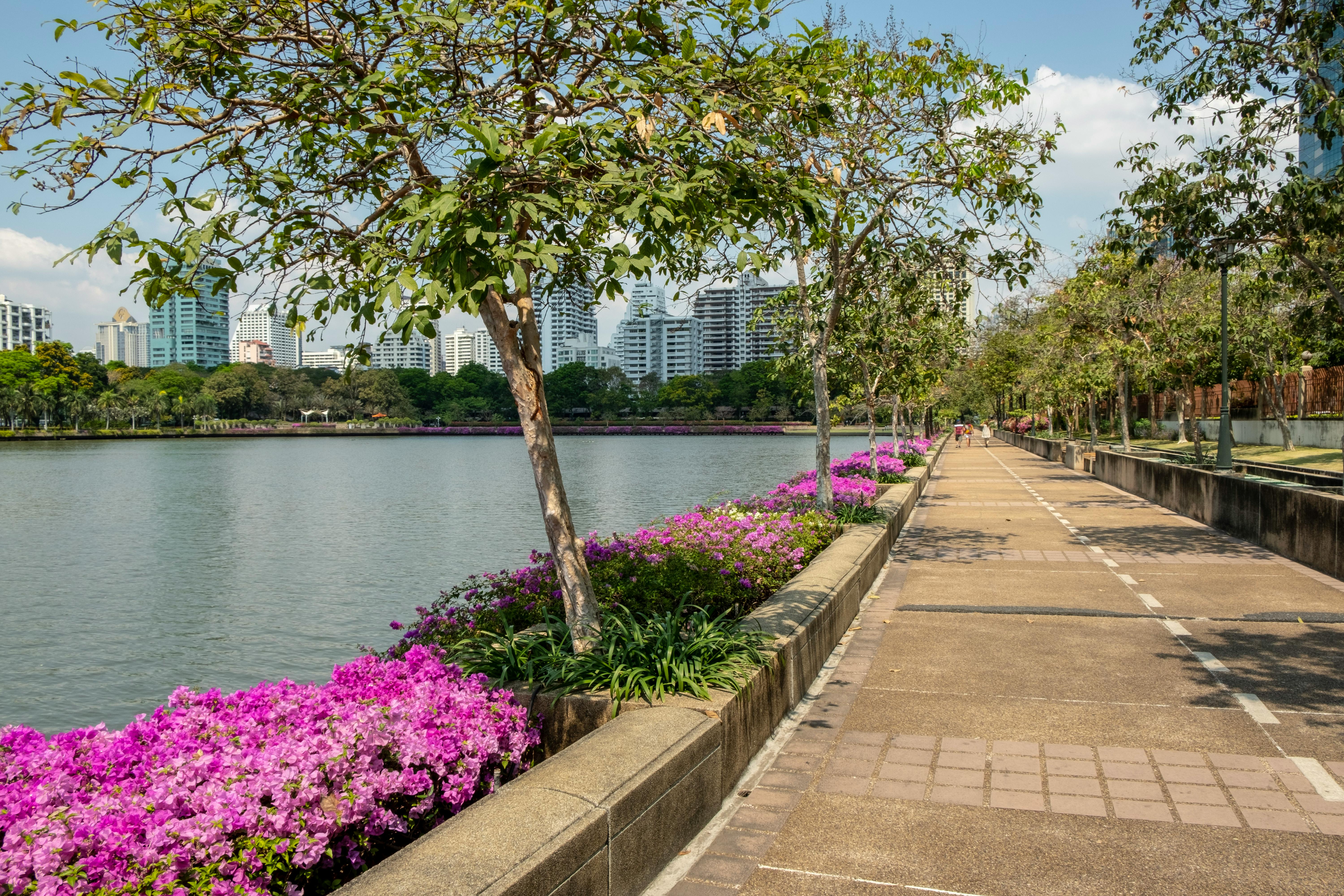 A Sidewalk Near a Lake · Free Stock Photo