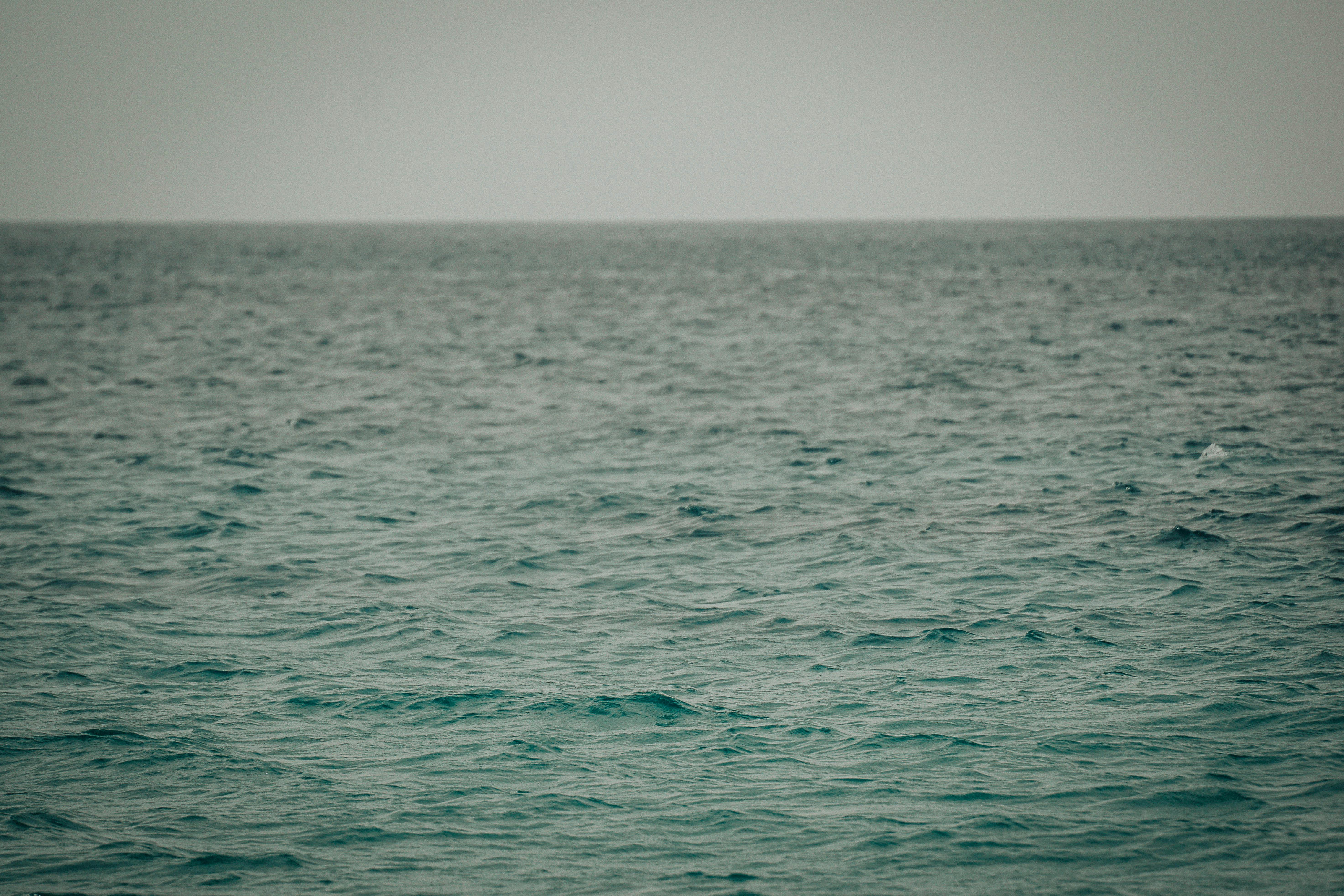 A Placid Sea · Free Stock Photo