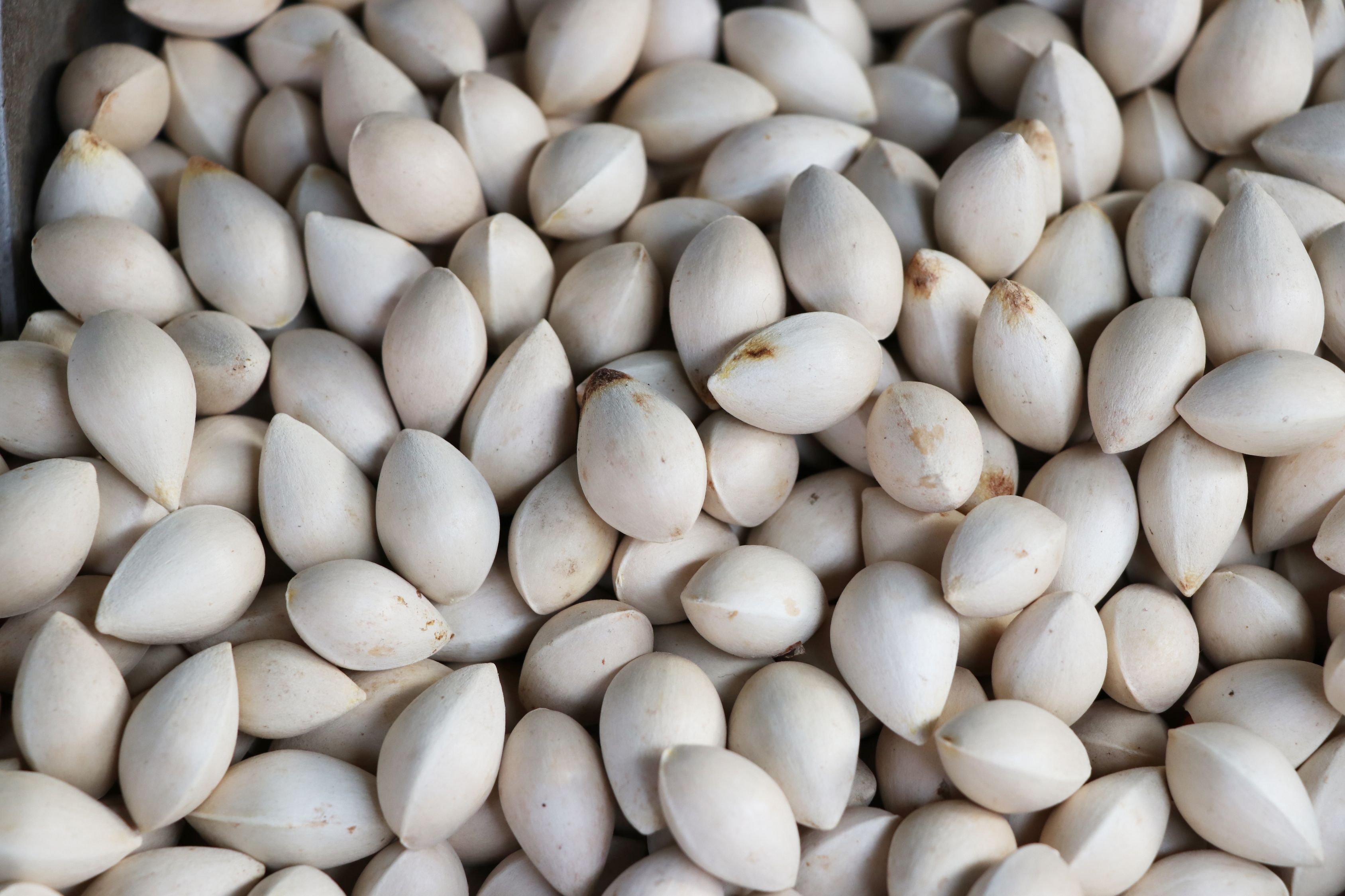 Free Stock Photo Of free-stock-photo-of