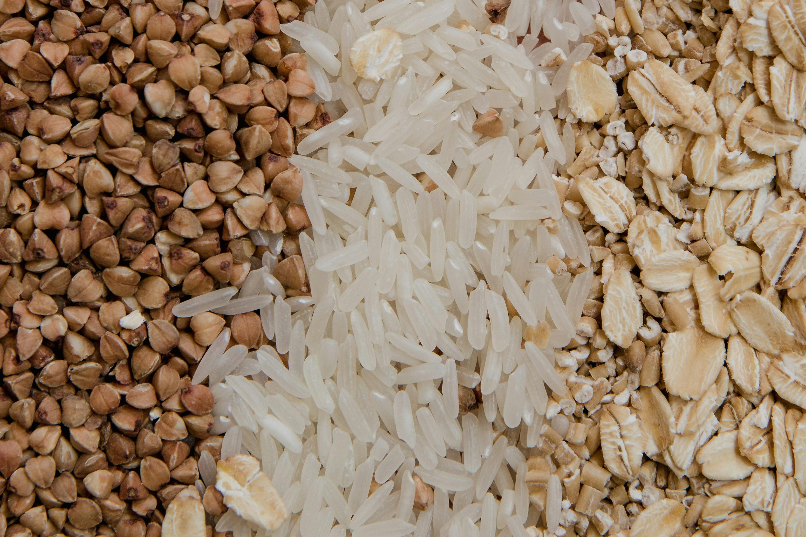 Rice Grain Photos, Download The BEST Free Rice Grain Stock Photos & HD ...