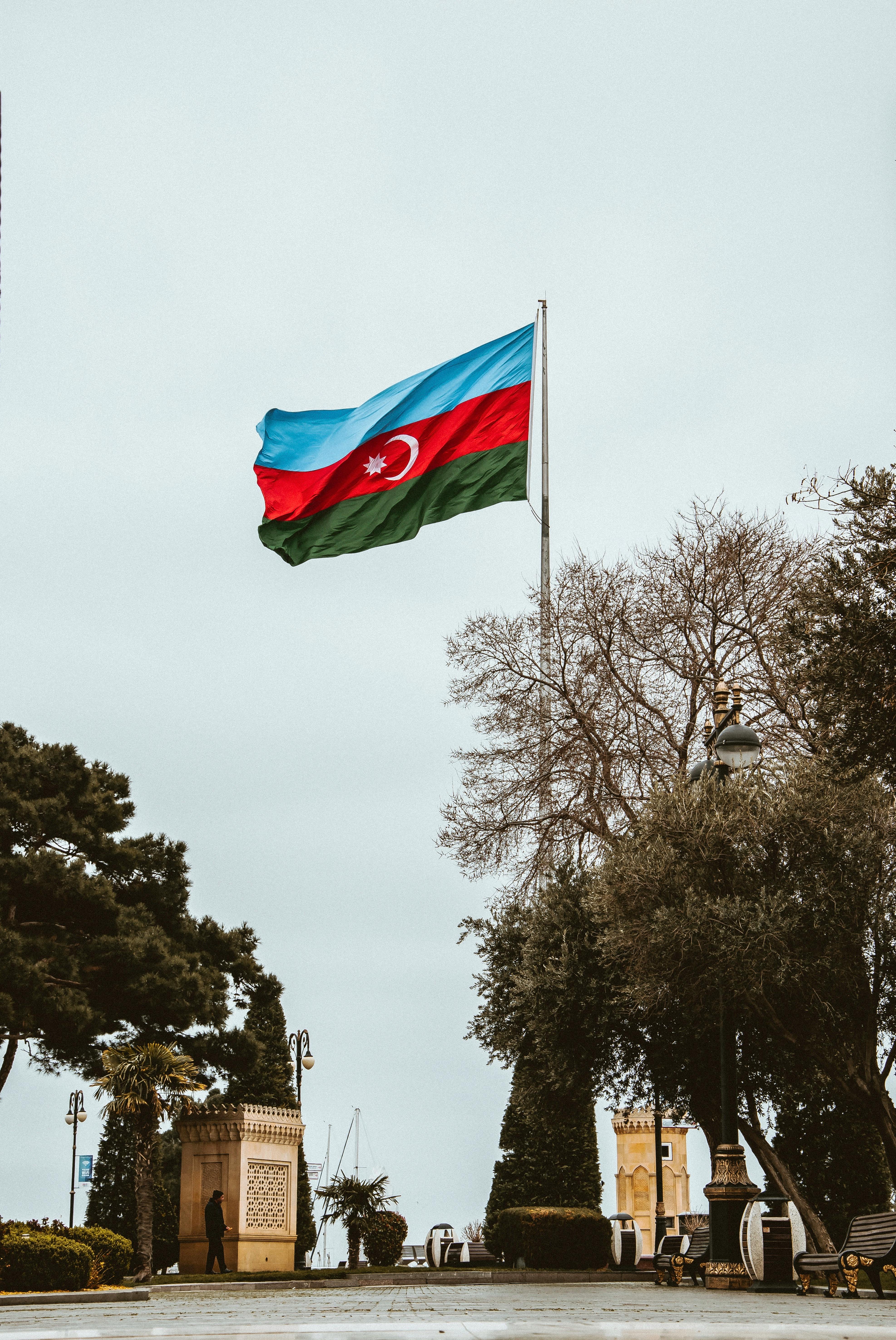 Trees Waving In The Wind Photos, Download The BEST Free Trees Waving In ...