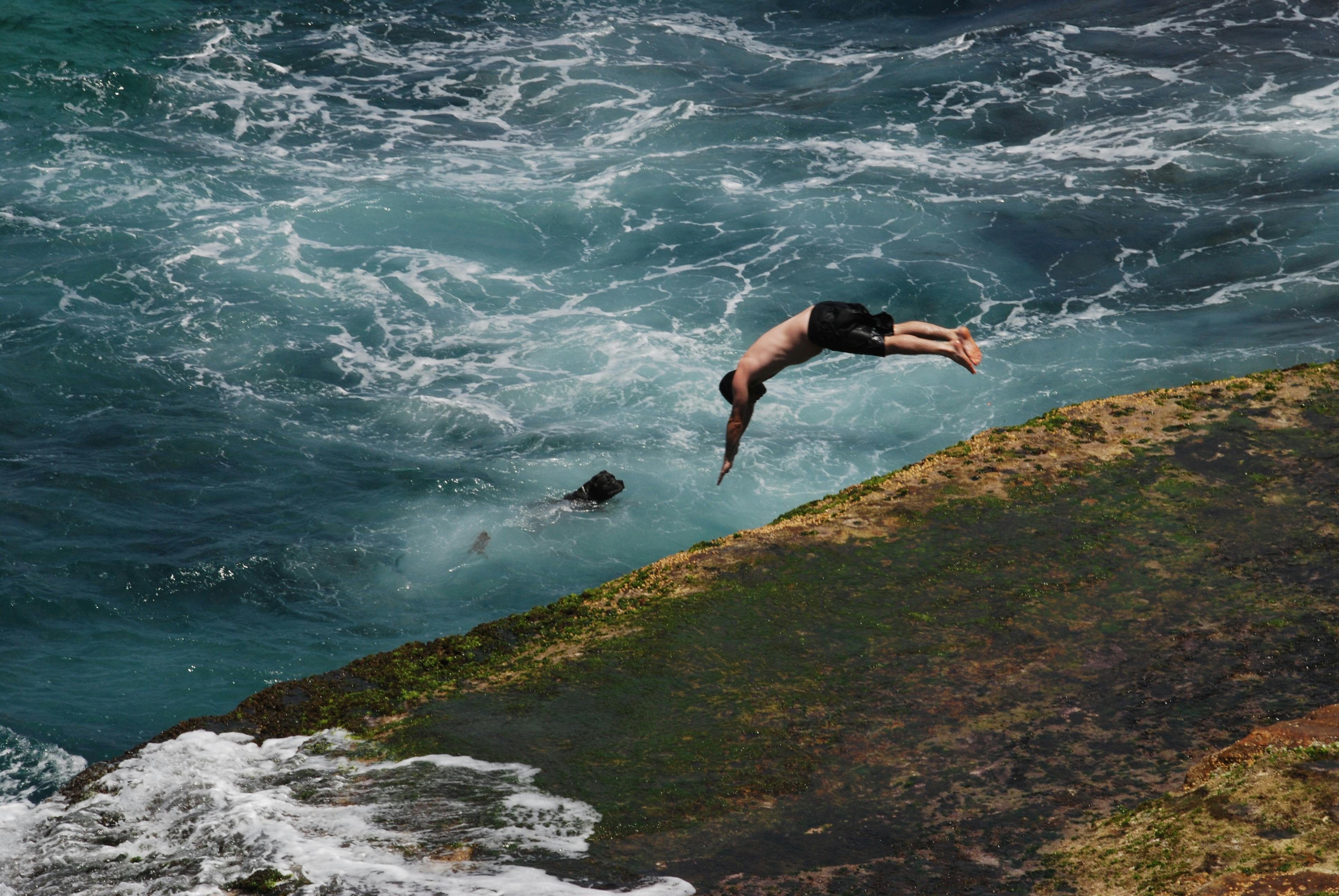 Man in Black Shorts Diving · Free Stock Photo