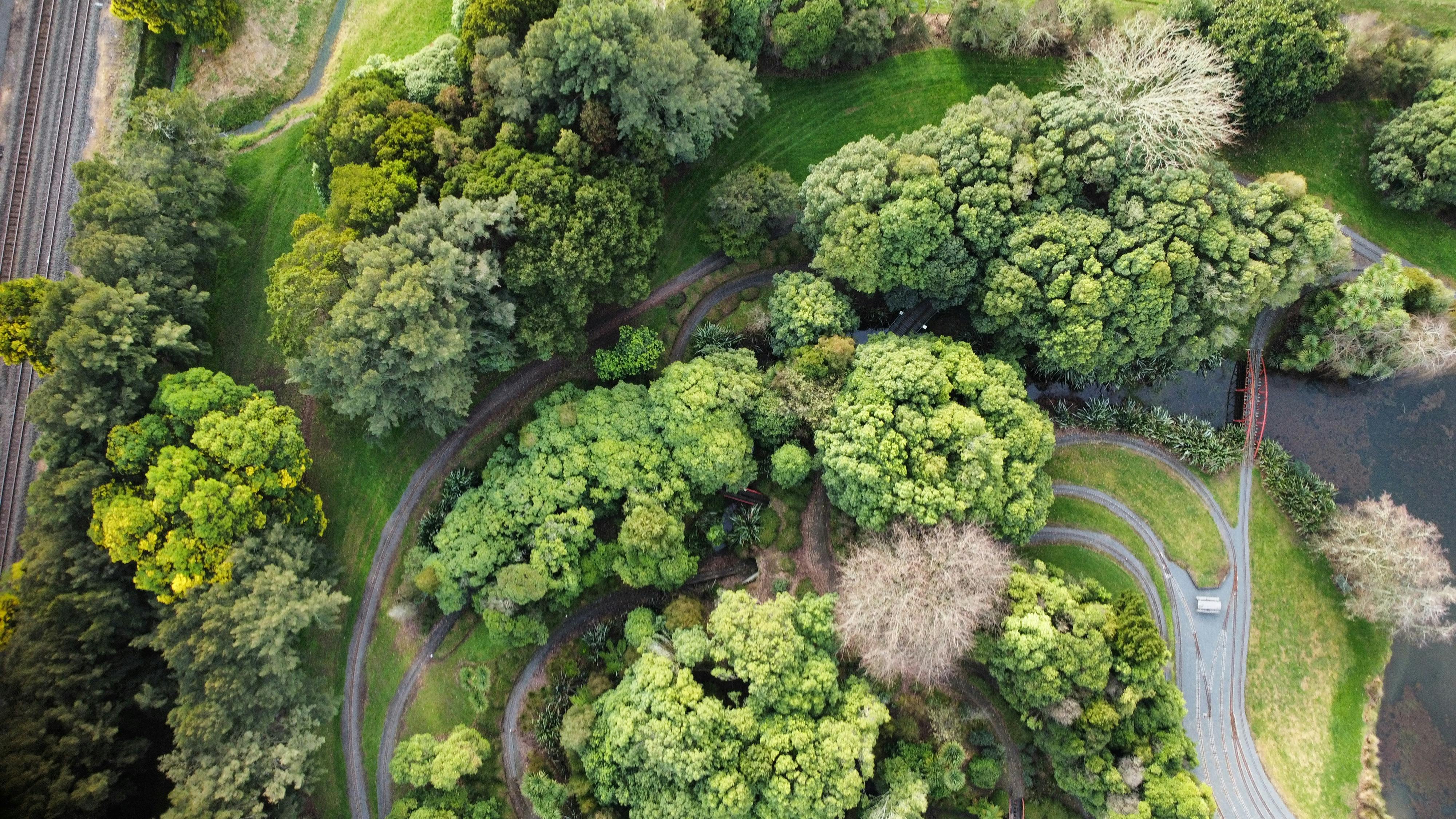 Drone Shot of the Trees and Paths of a Park · Free Stock Photo