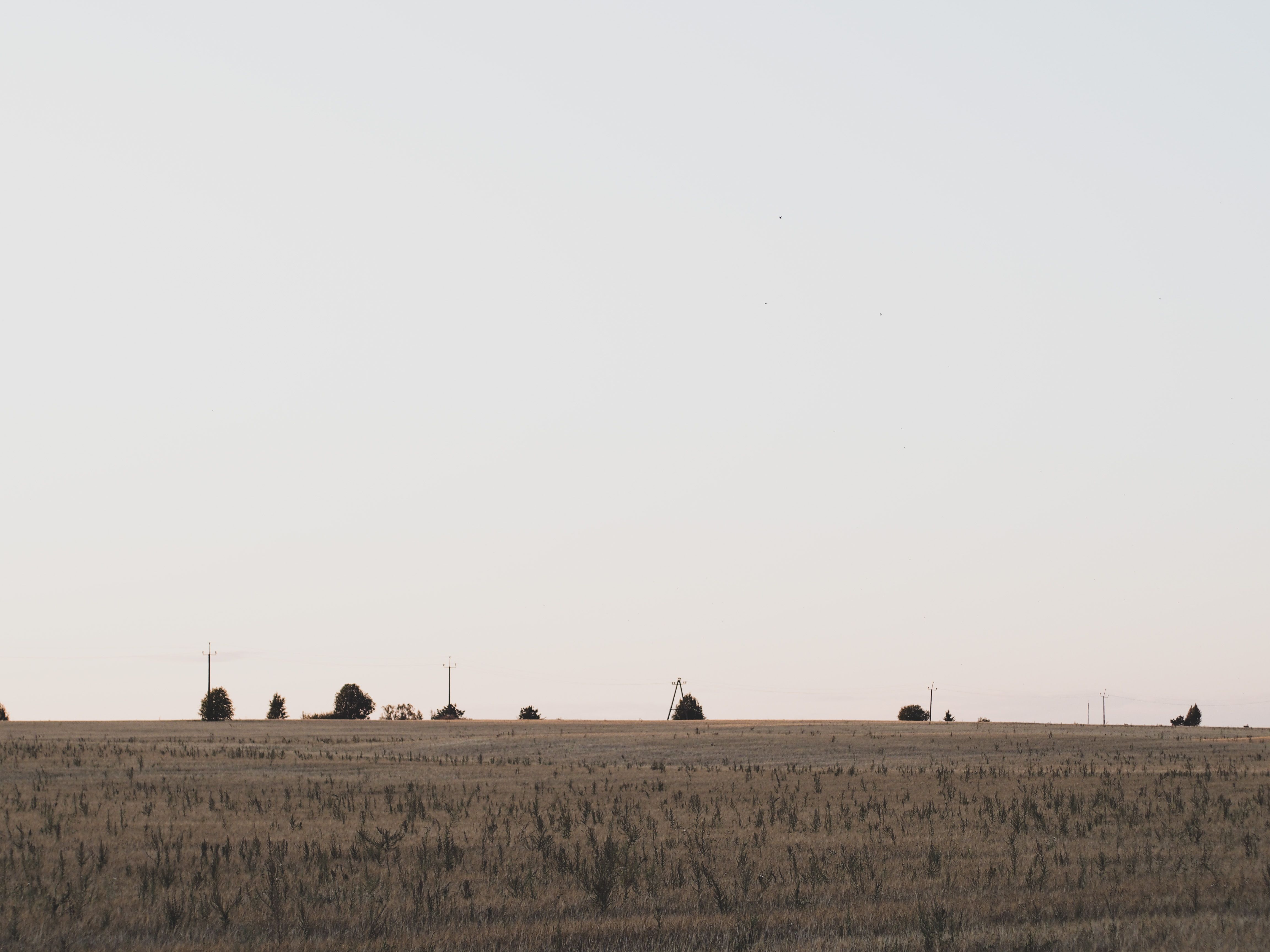 Empty Field in Countryside · Free Stock Photo