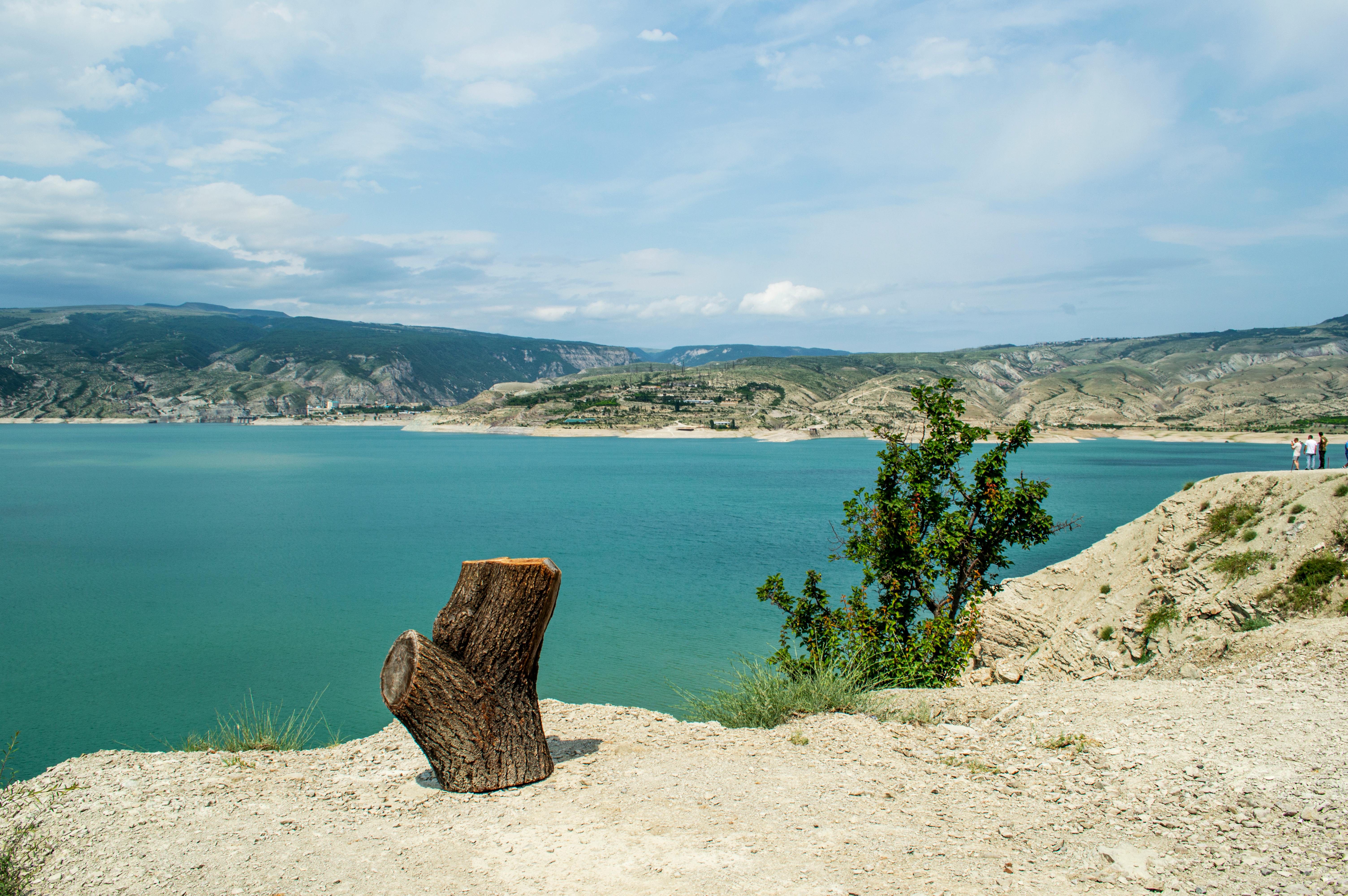 Sea Of Dust Photos, Download The BEST Free Sea Of Dust Stock Photos ...