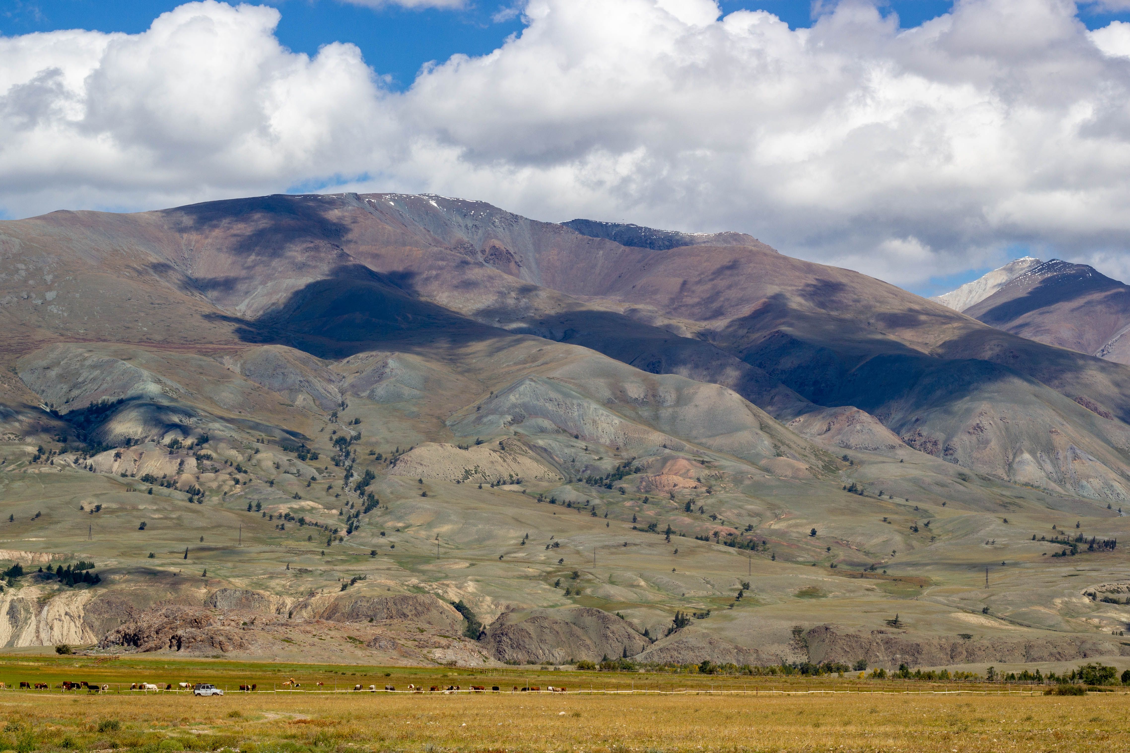 Field and Mountain · Free Stock Photo