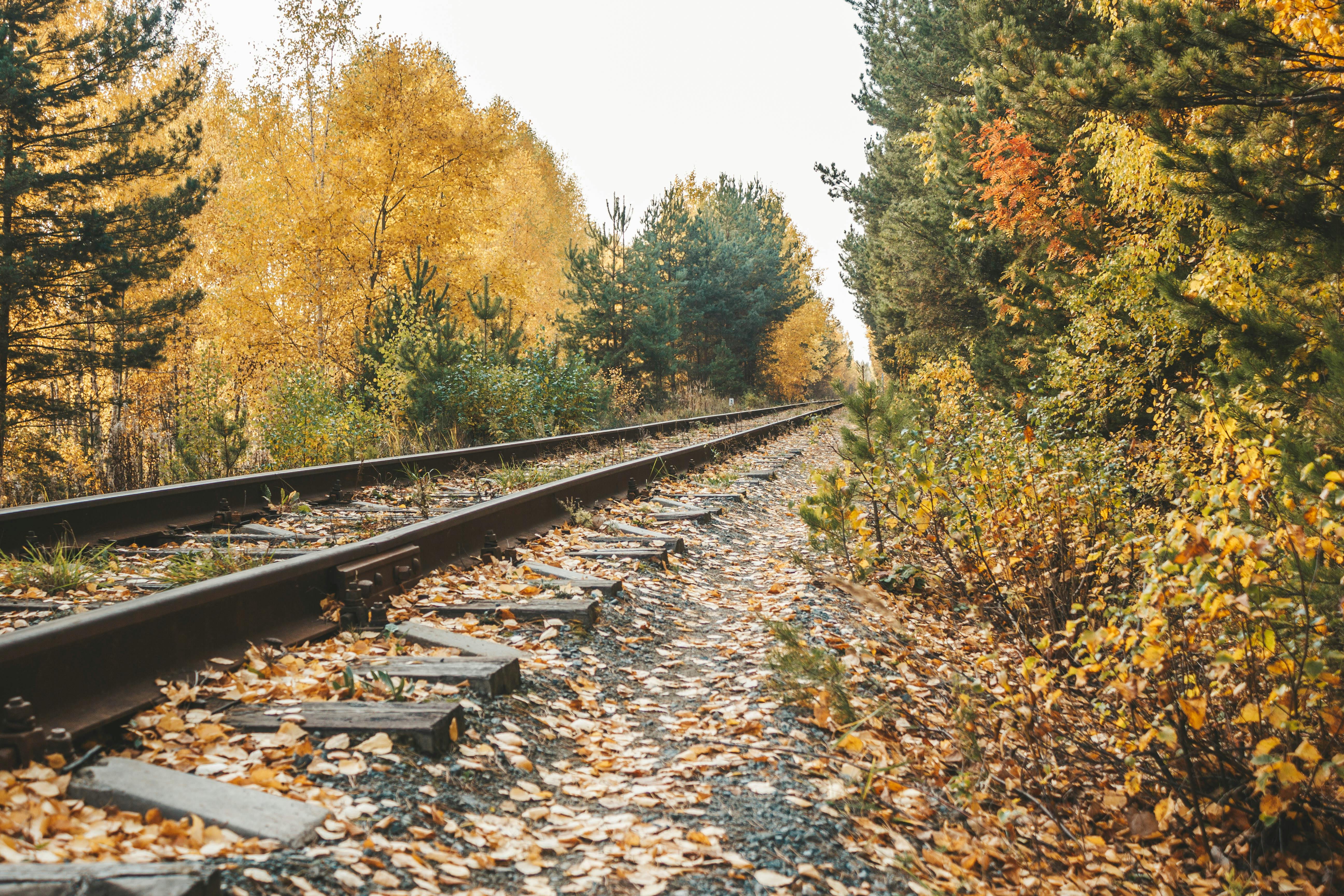 Photo of A Railway Beside Autumn Trees · Free Stock Photo