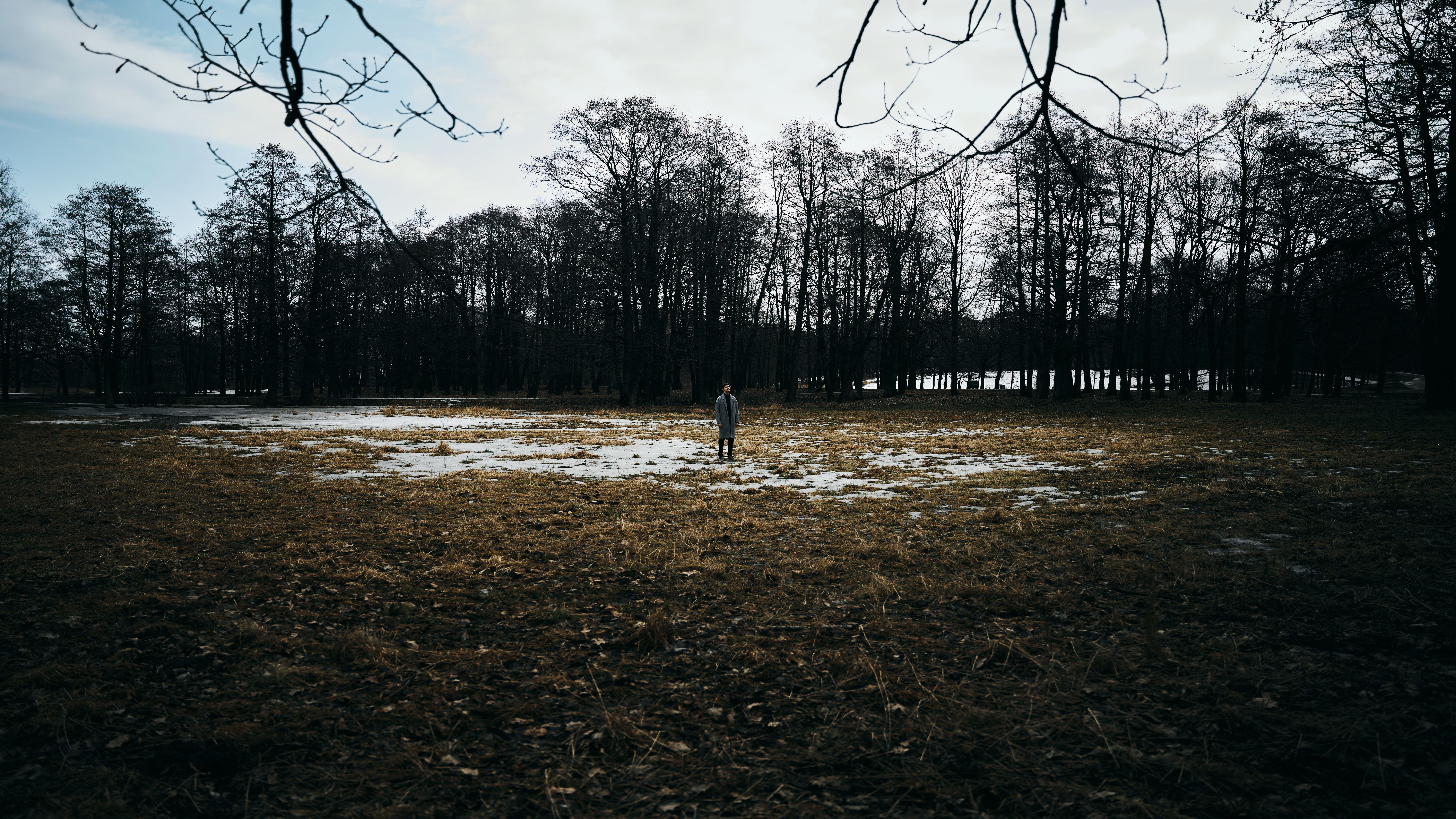 A Person Standing Alone on a Field · Free Stock Photo