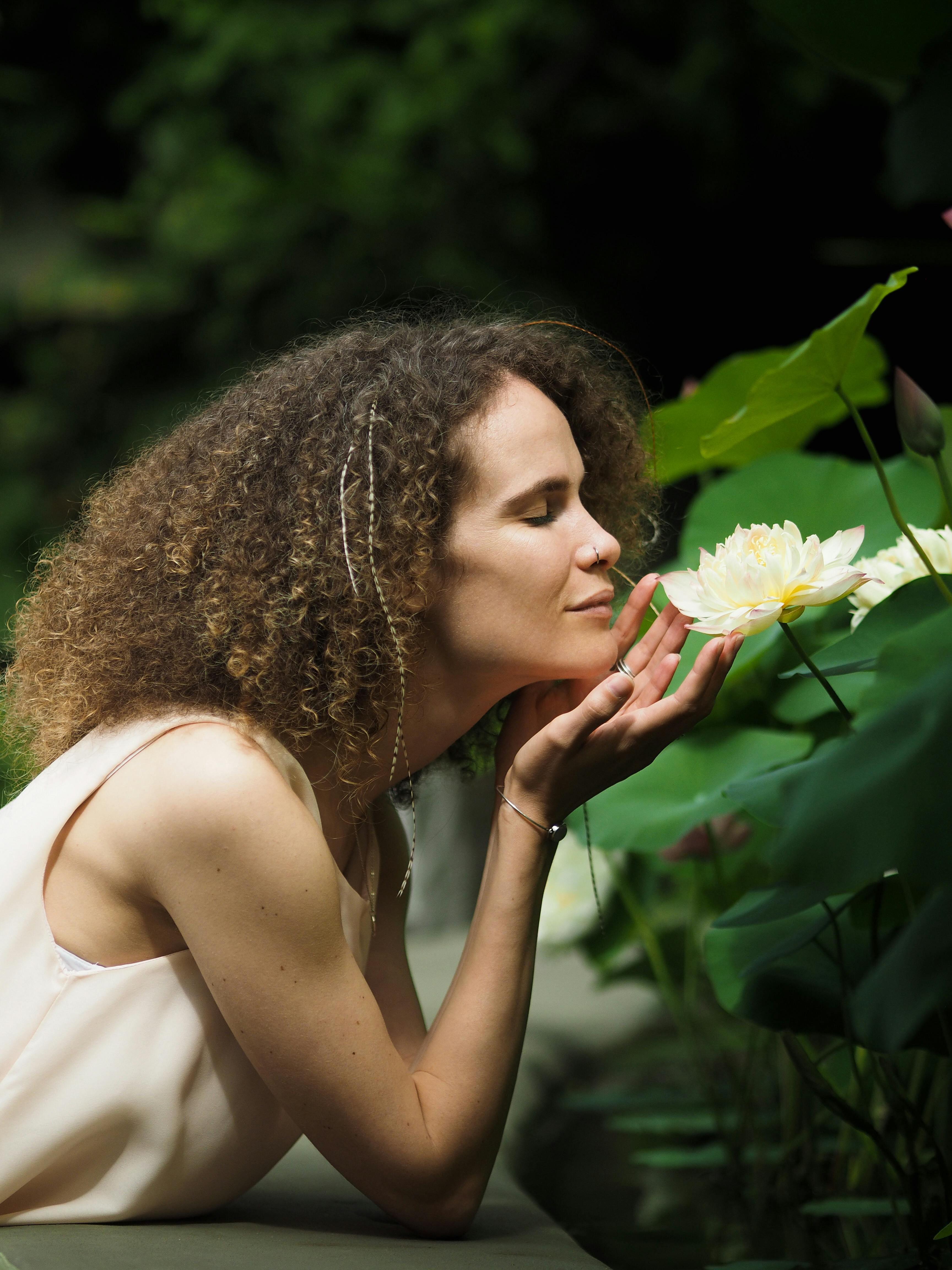 Plucking A Flower Photos, Download The BEST Free Plucking A Flower ...