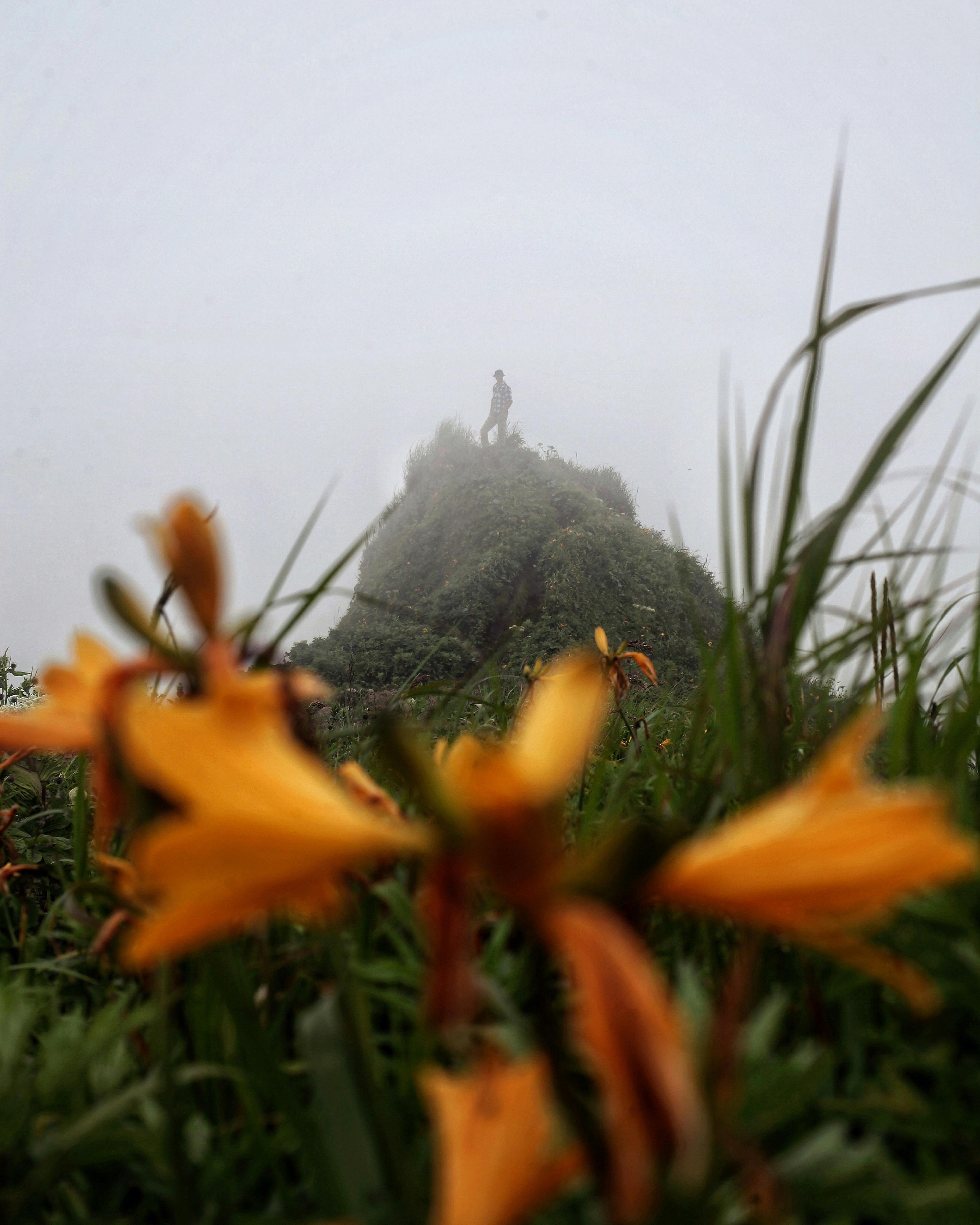 Thick Fog Covering Hilly Landscape · Free Stock Photo