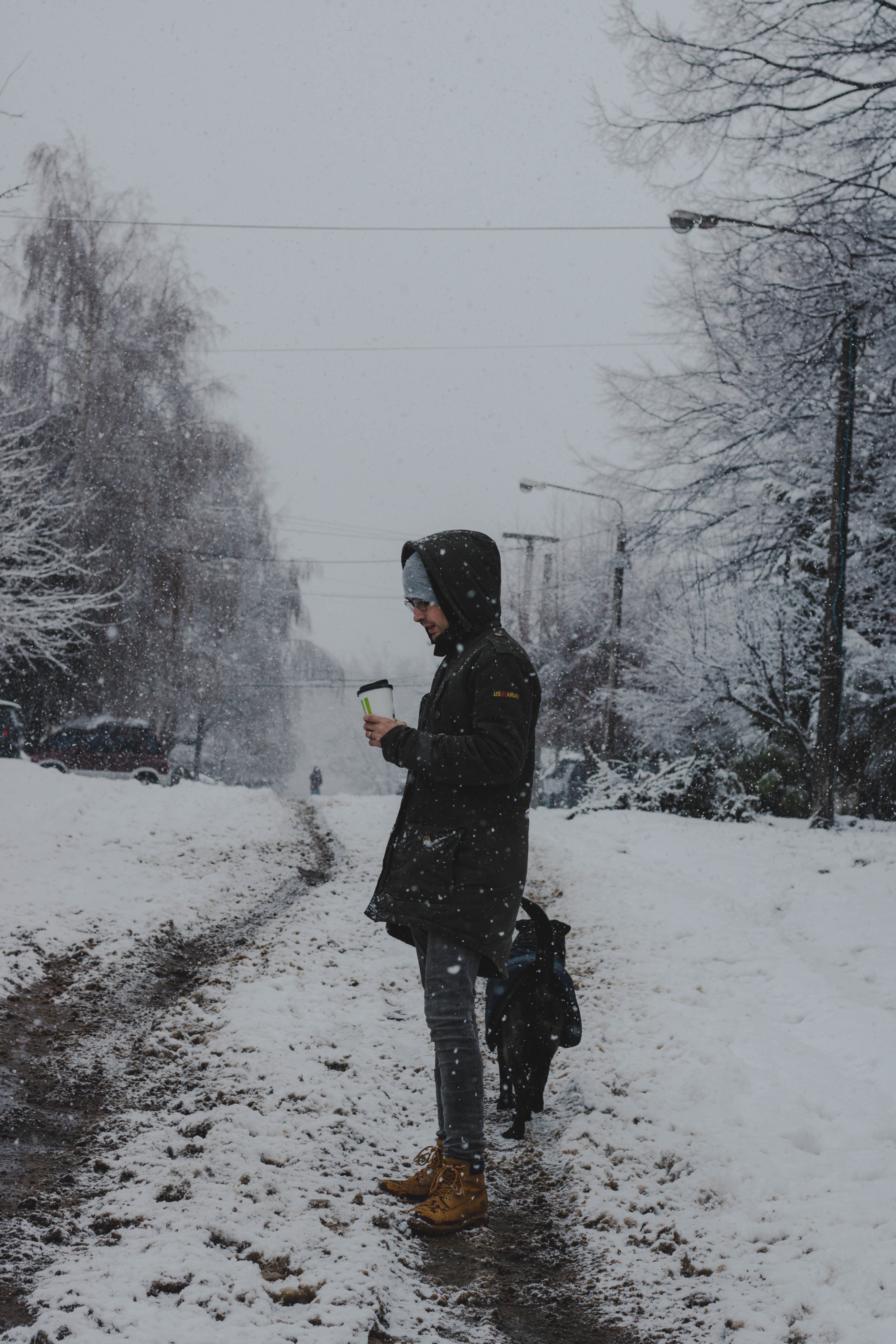 People Playing on Snow · Free Stock Photo