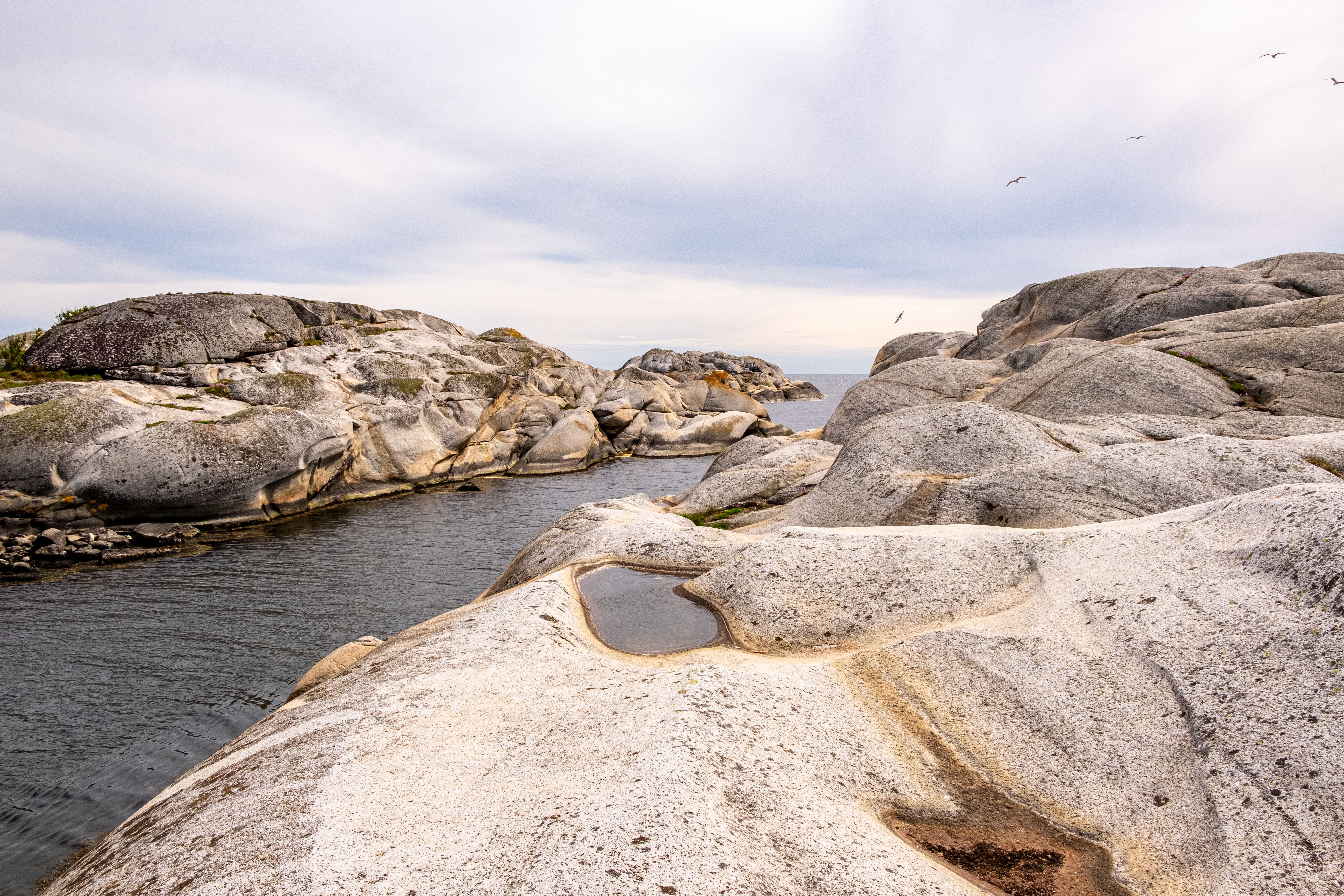 Rock Formations on the Beach · Free Stock Photo
