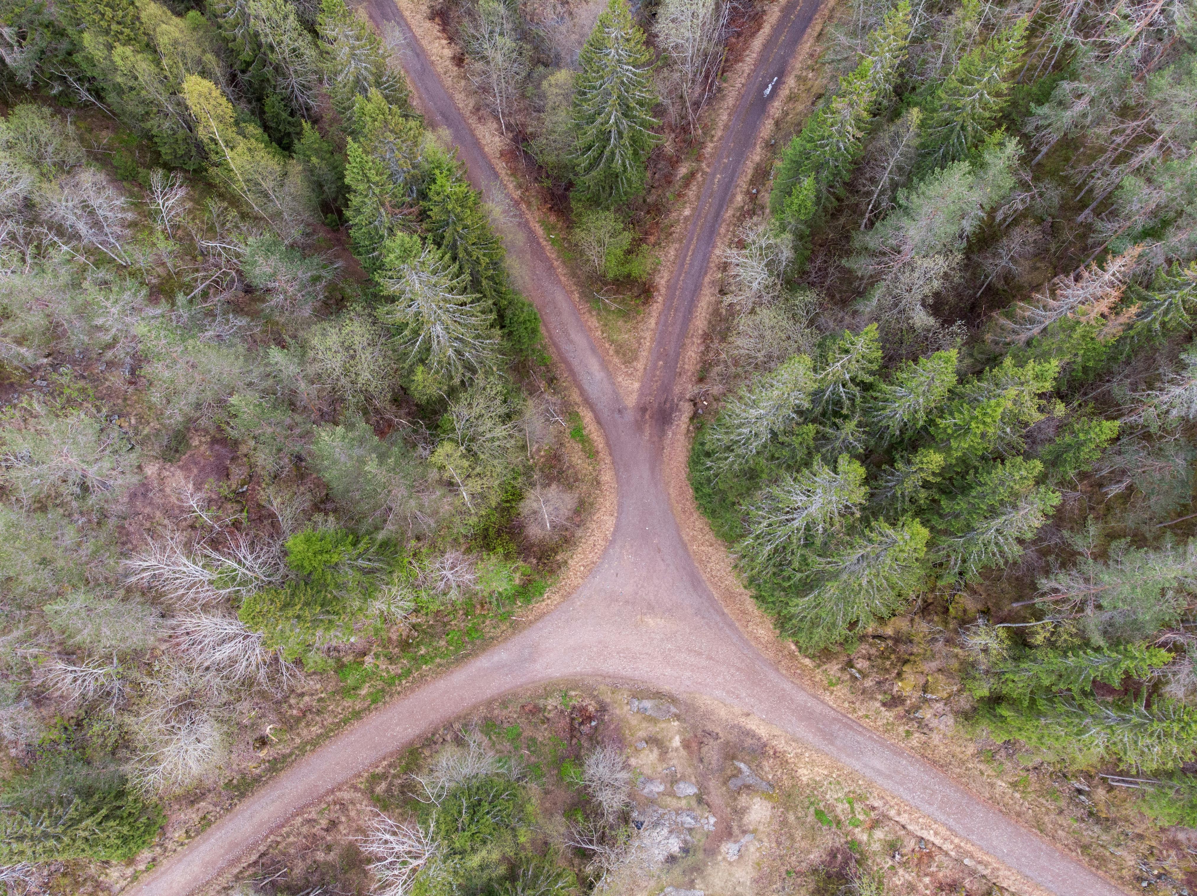 Bird's-eye View Photo of Road With Trees · Free Stock Photo