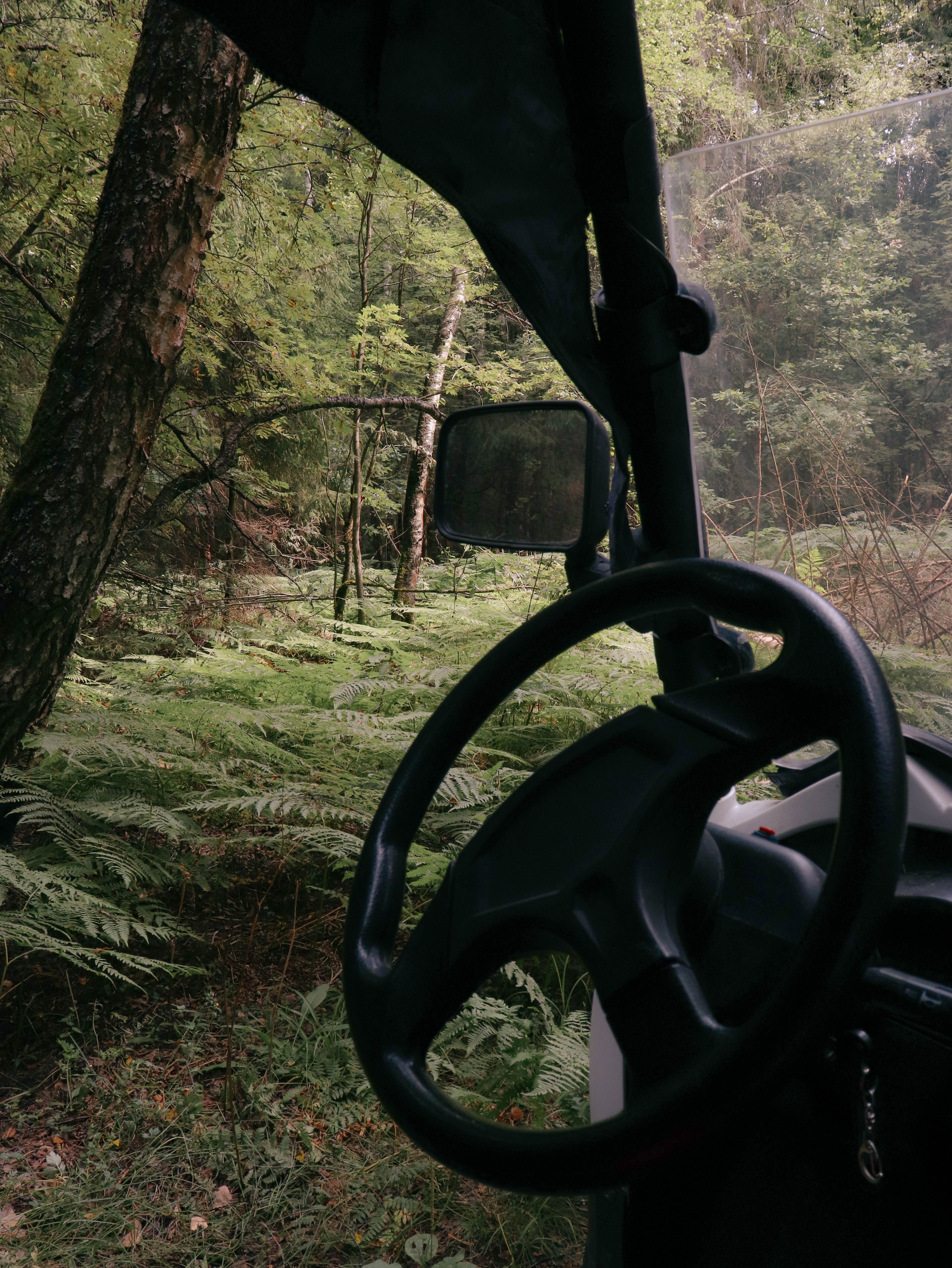 Ferns Wheel Photos, Download The BEST Free Ferns Wheel Stock Photos ...