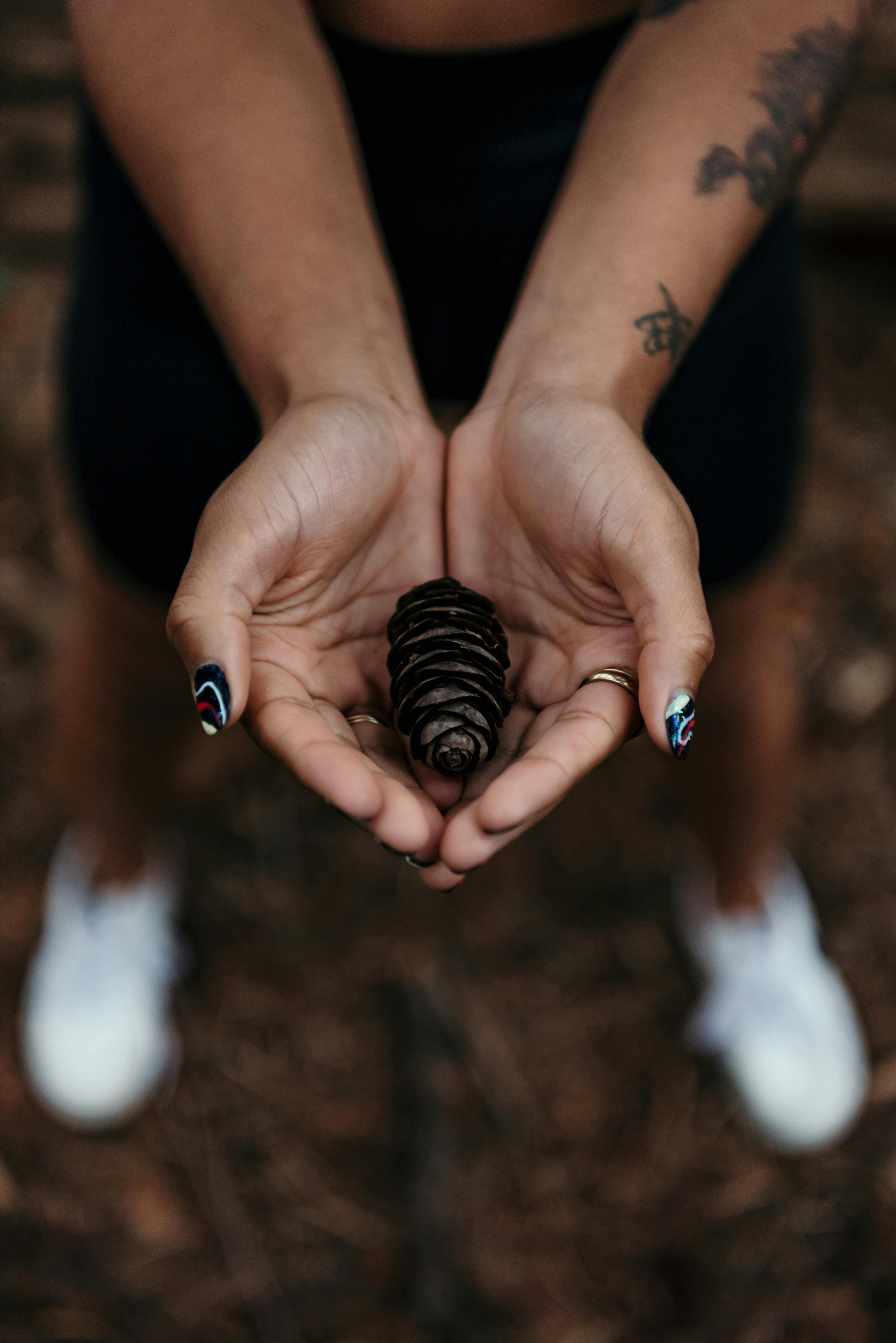 Earthing Photos, Download The BEST Free Earthing Stock Photos & HD Images