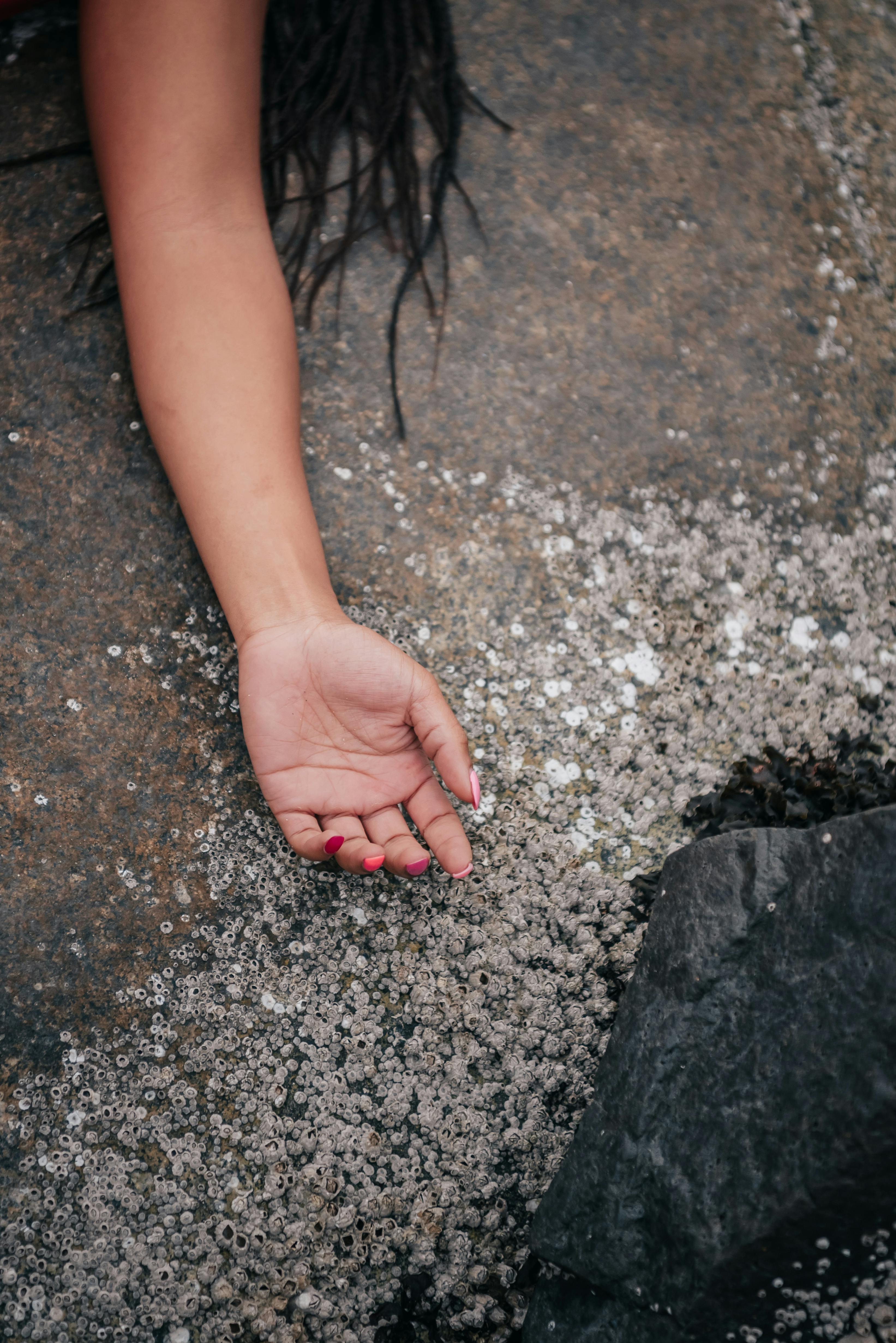 Person Touching a Tree · Free Stock Photo