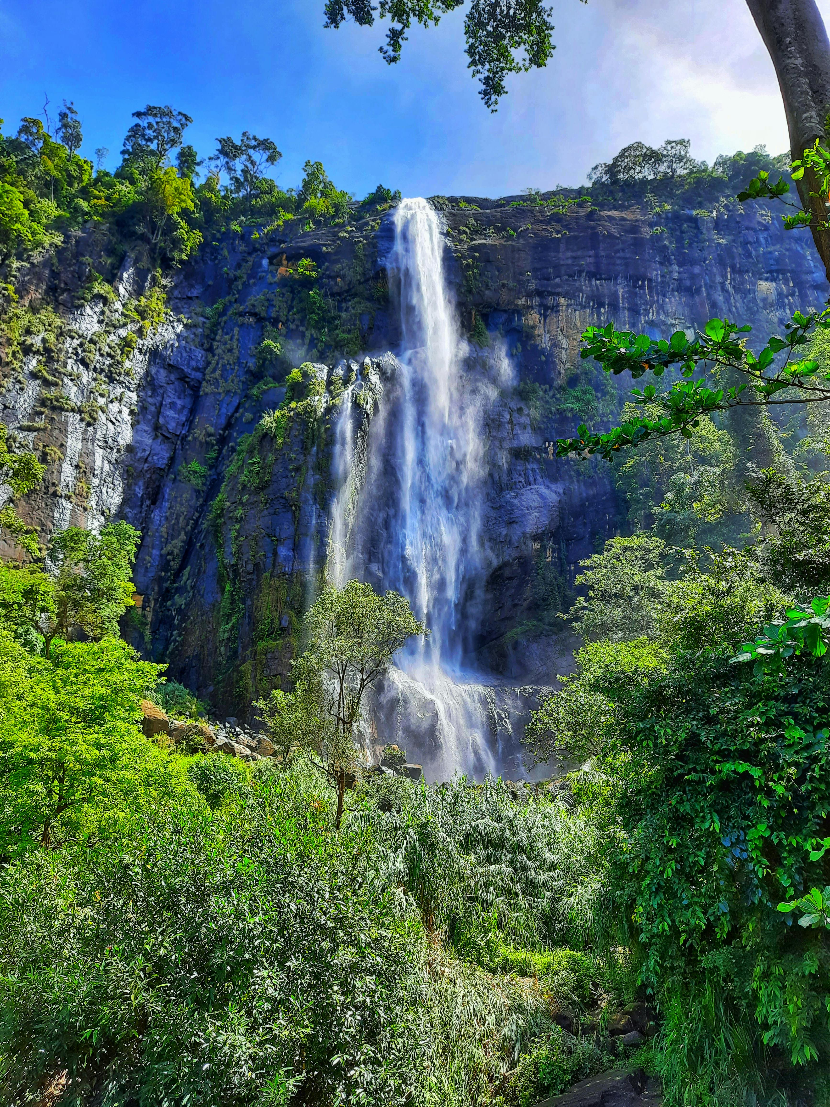 Waterfalls in the Middle of Green Trees · Free Stock Photo