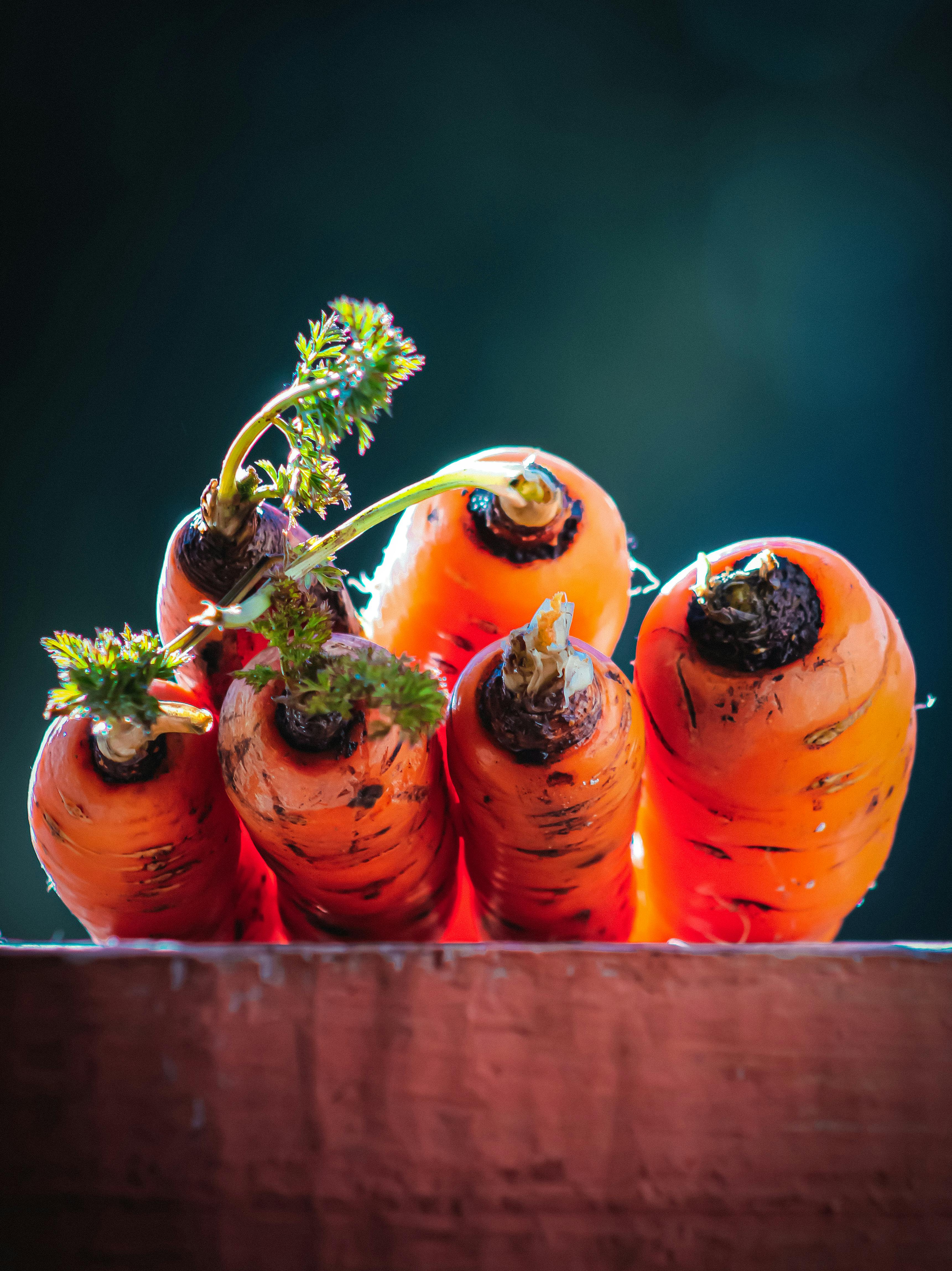 Close-up of a Bunch of Carrots · Free Stock Photo