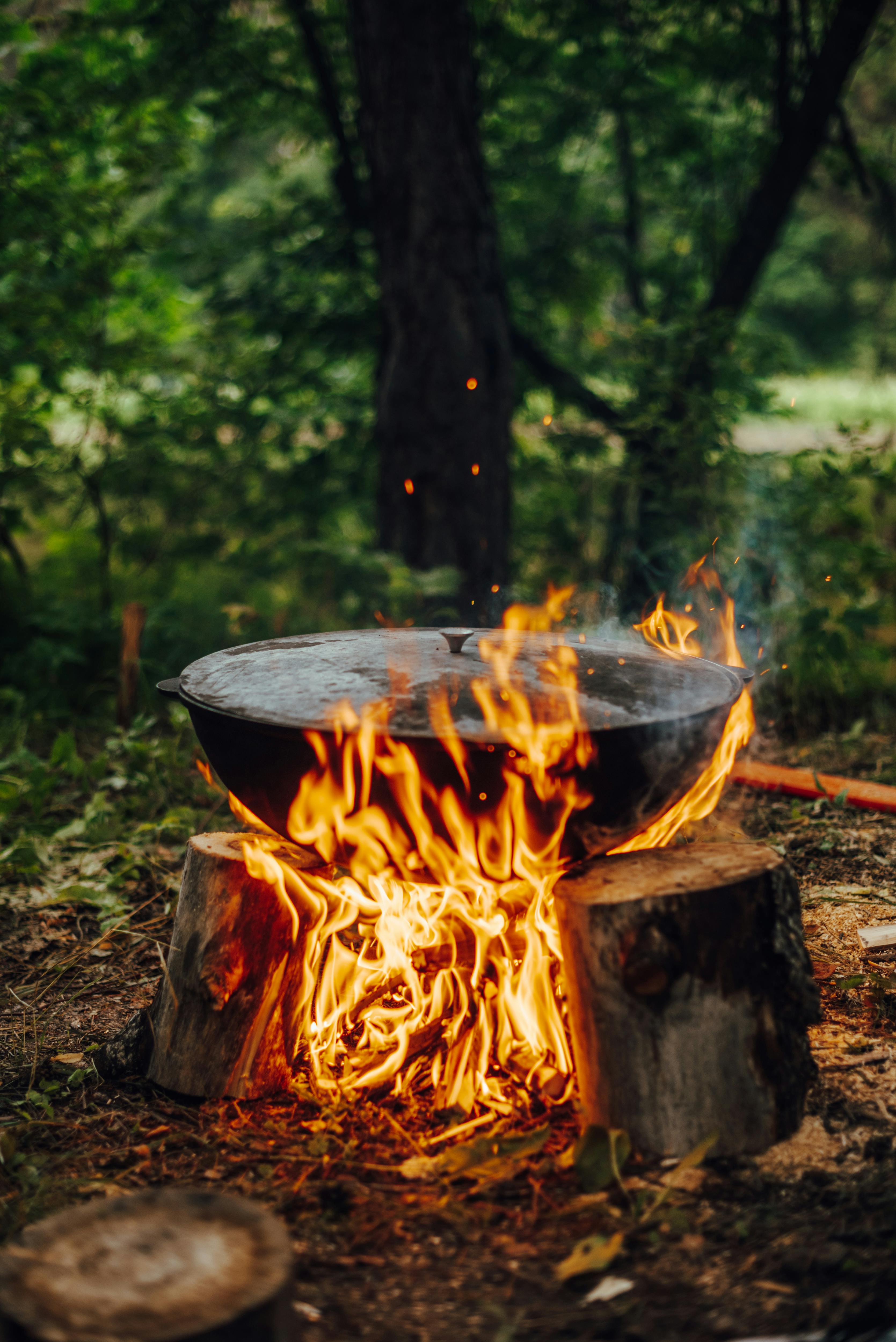 Cooking Pot on Firewood · Free Stock Photo