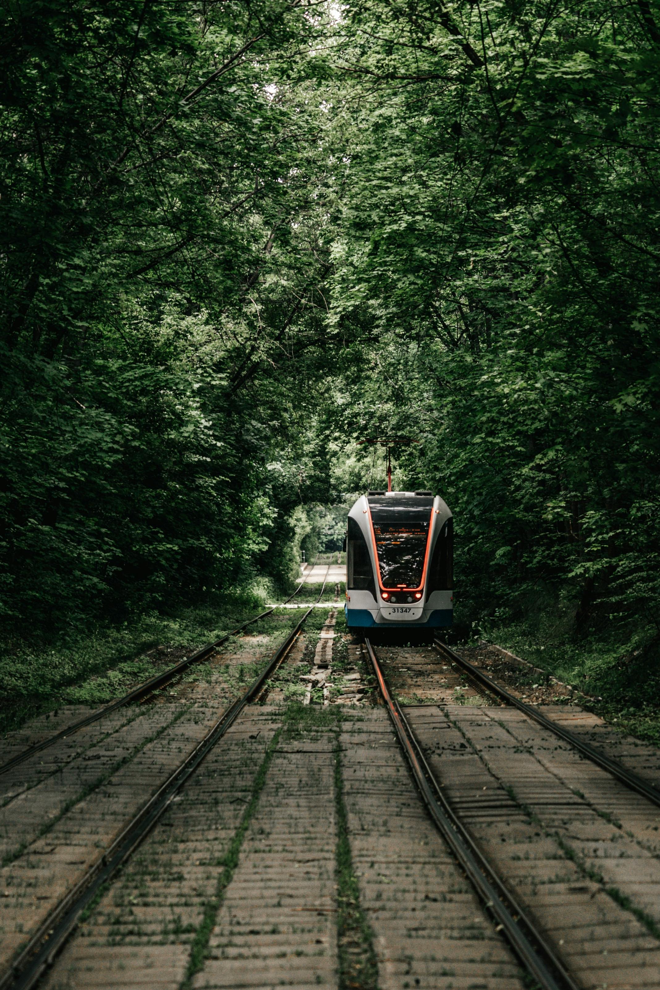 Train on Railways in the Forest · Free Stock Photo