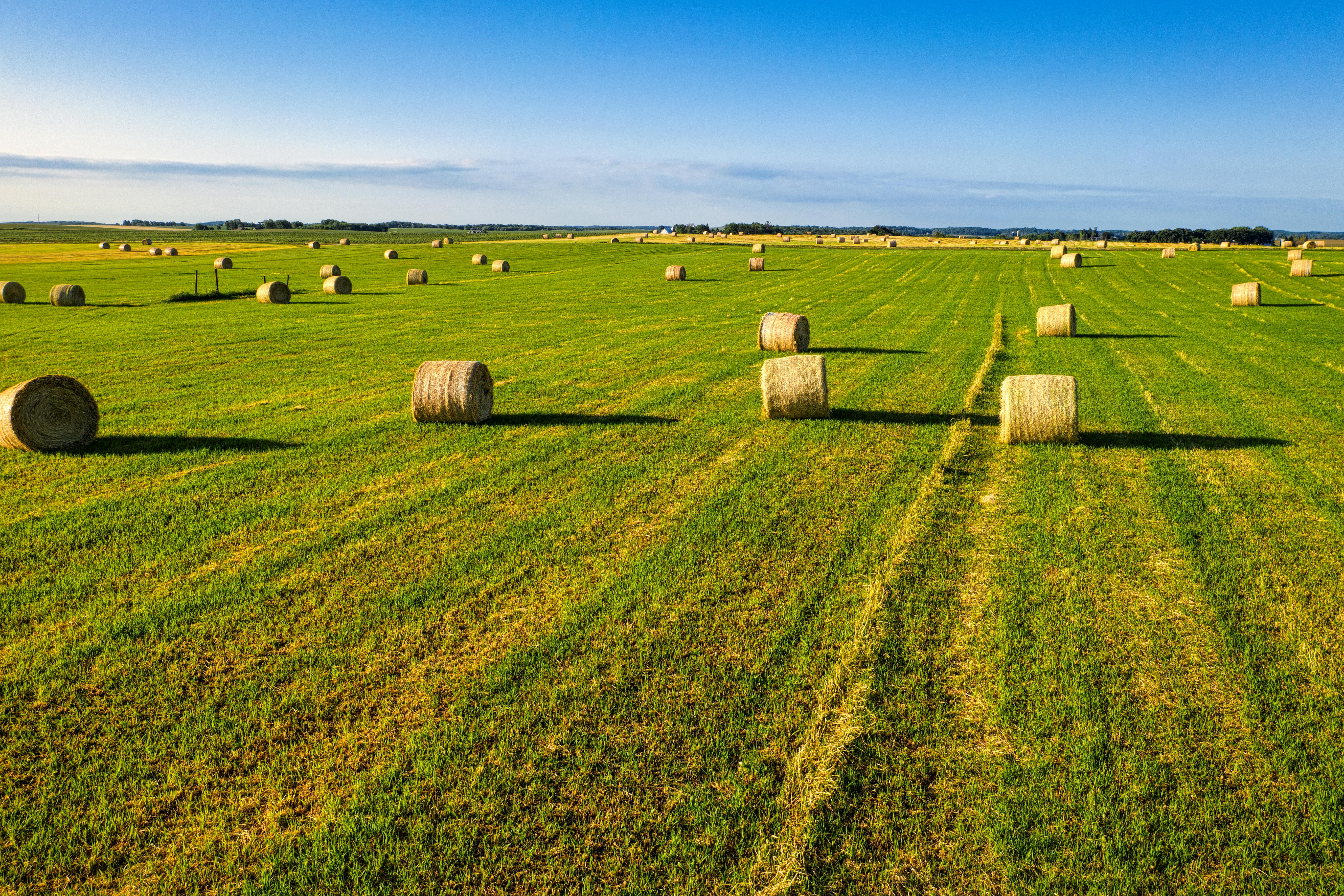 Hay Bales on the Green Grass Field · Free Stock Photo