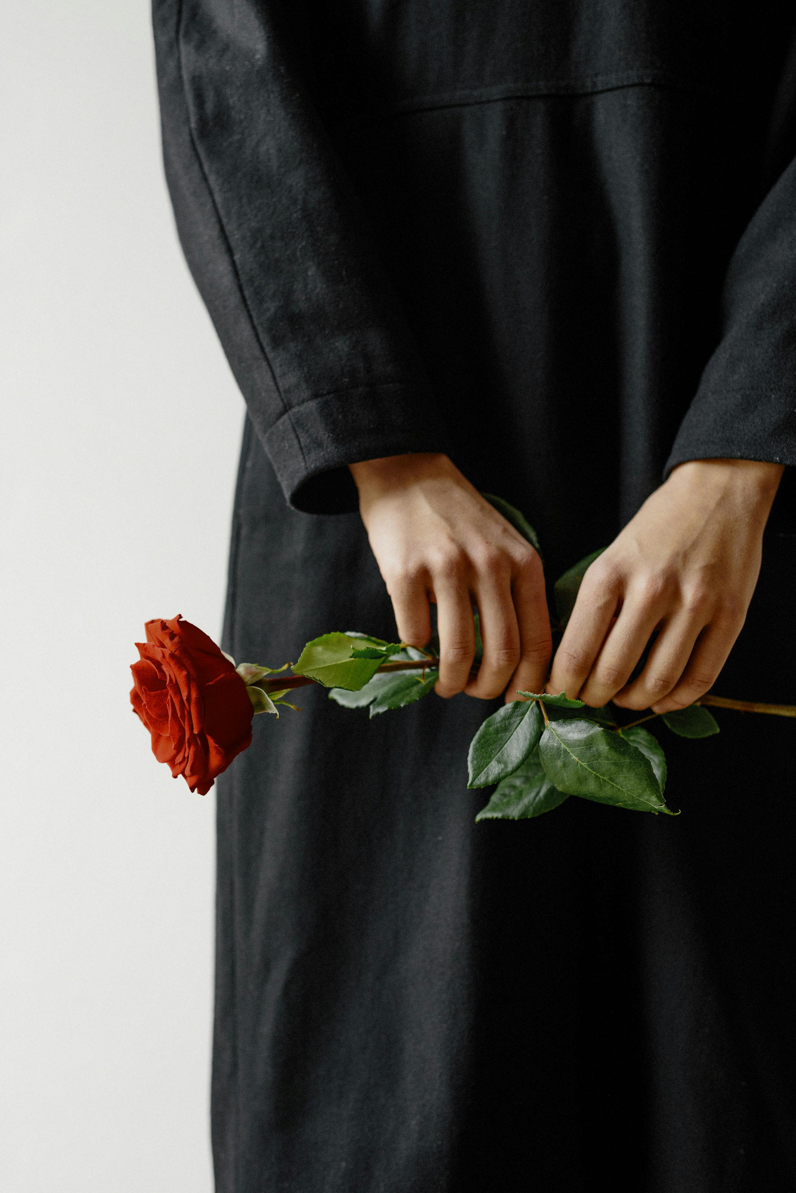 A Person Holding a Rose · Free Stock Photo