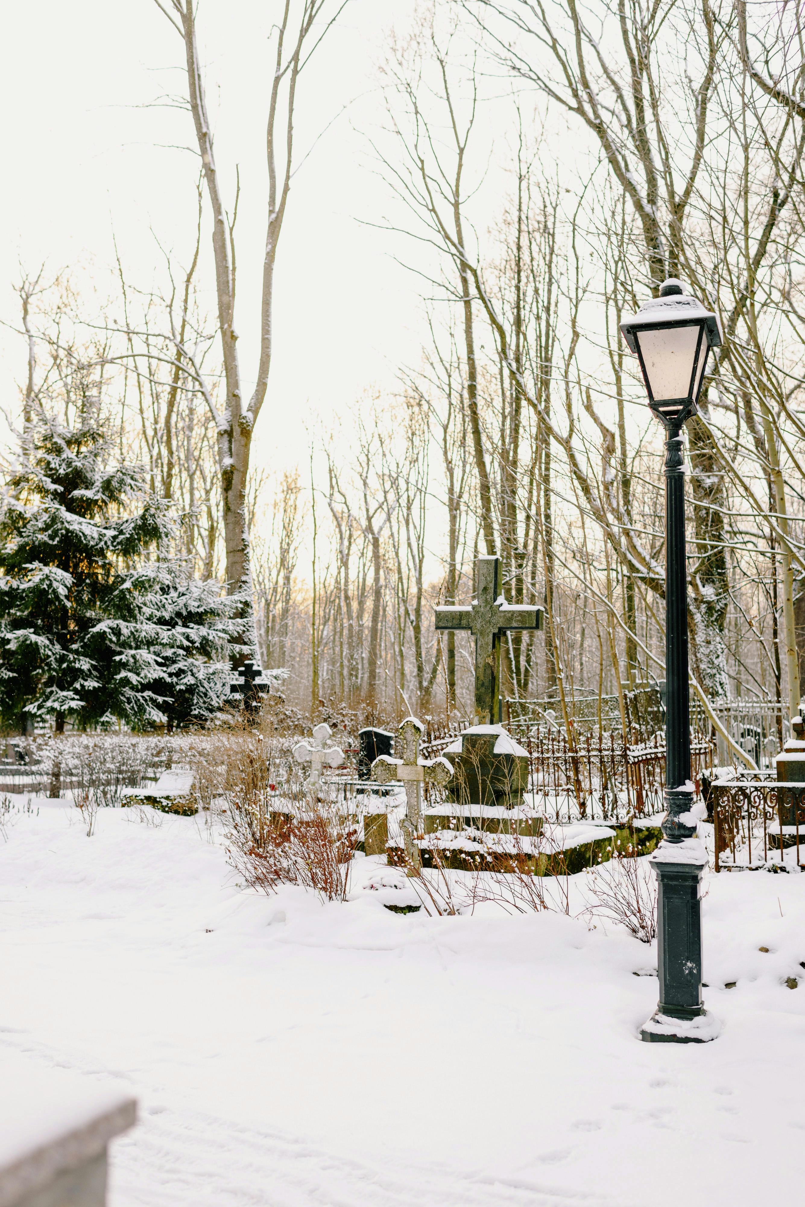 A Snow Covered Cemetery in Winter · Free Stock Photo