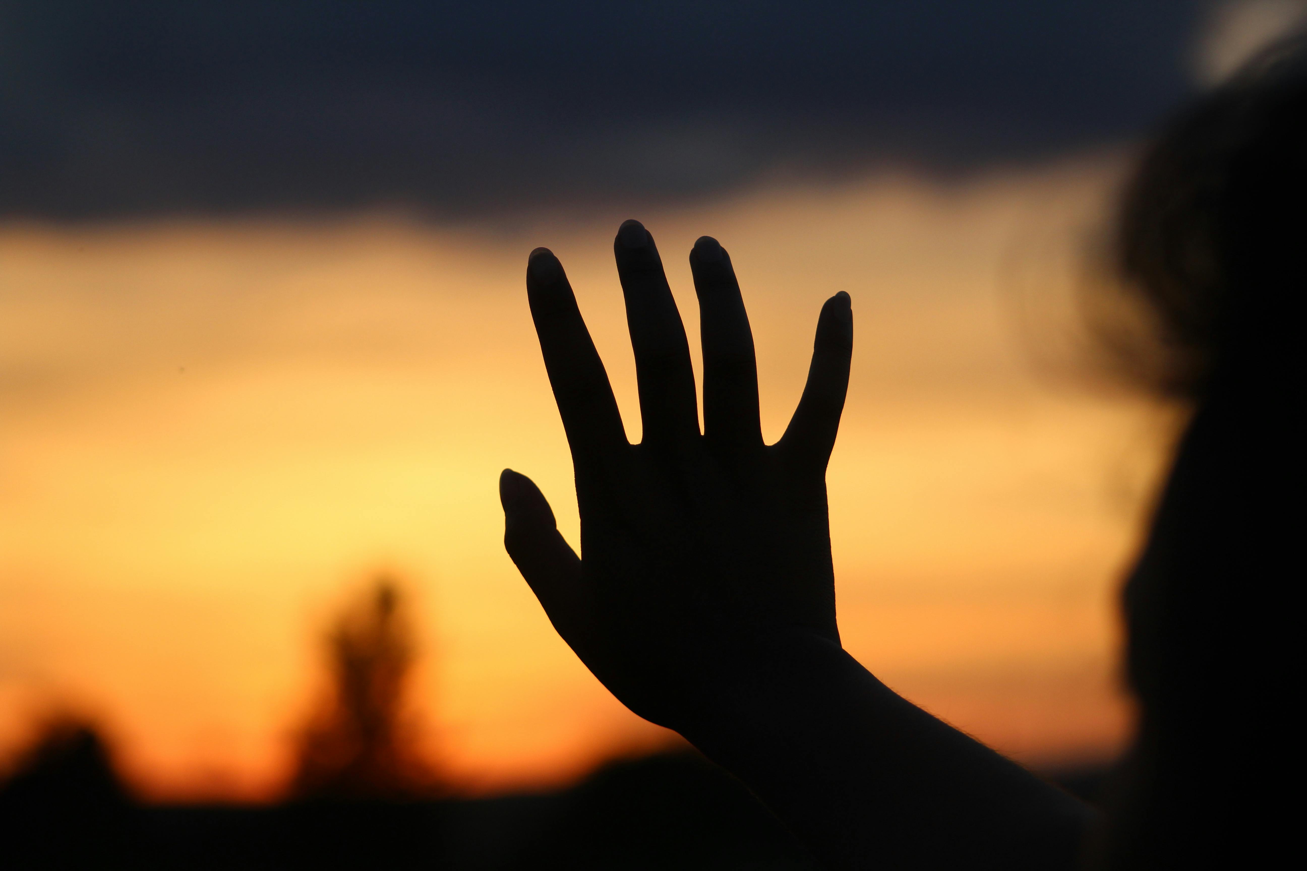 A Silhouette of a Hand · Free Stock Photo