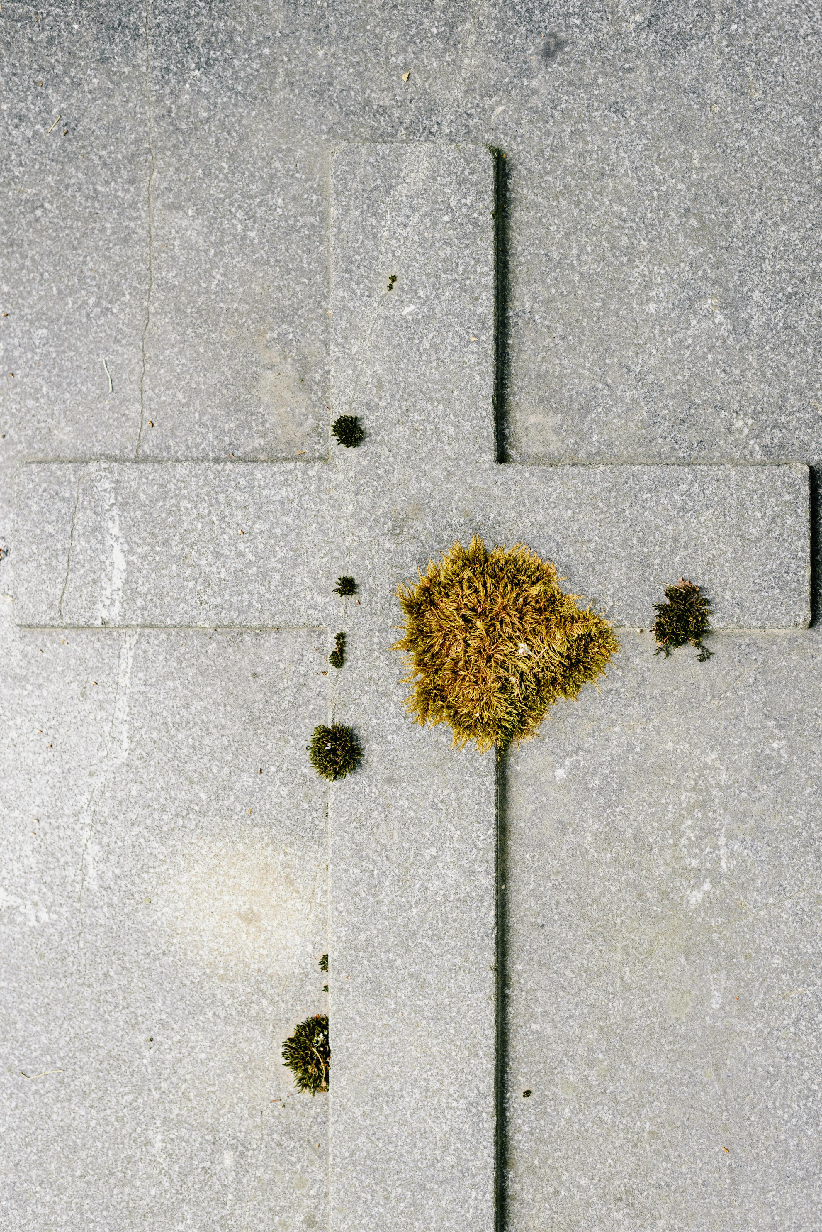 Reclaim Time Photos, Download The BEST Free Reclaim Time Stock Photos ...