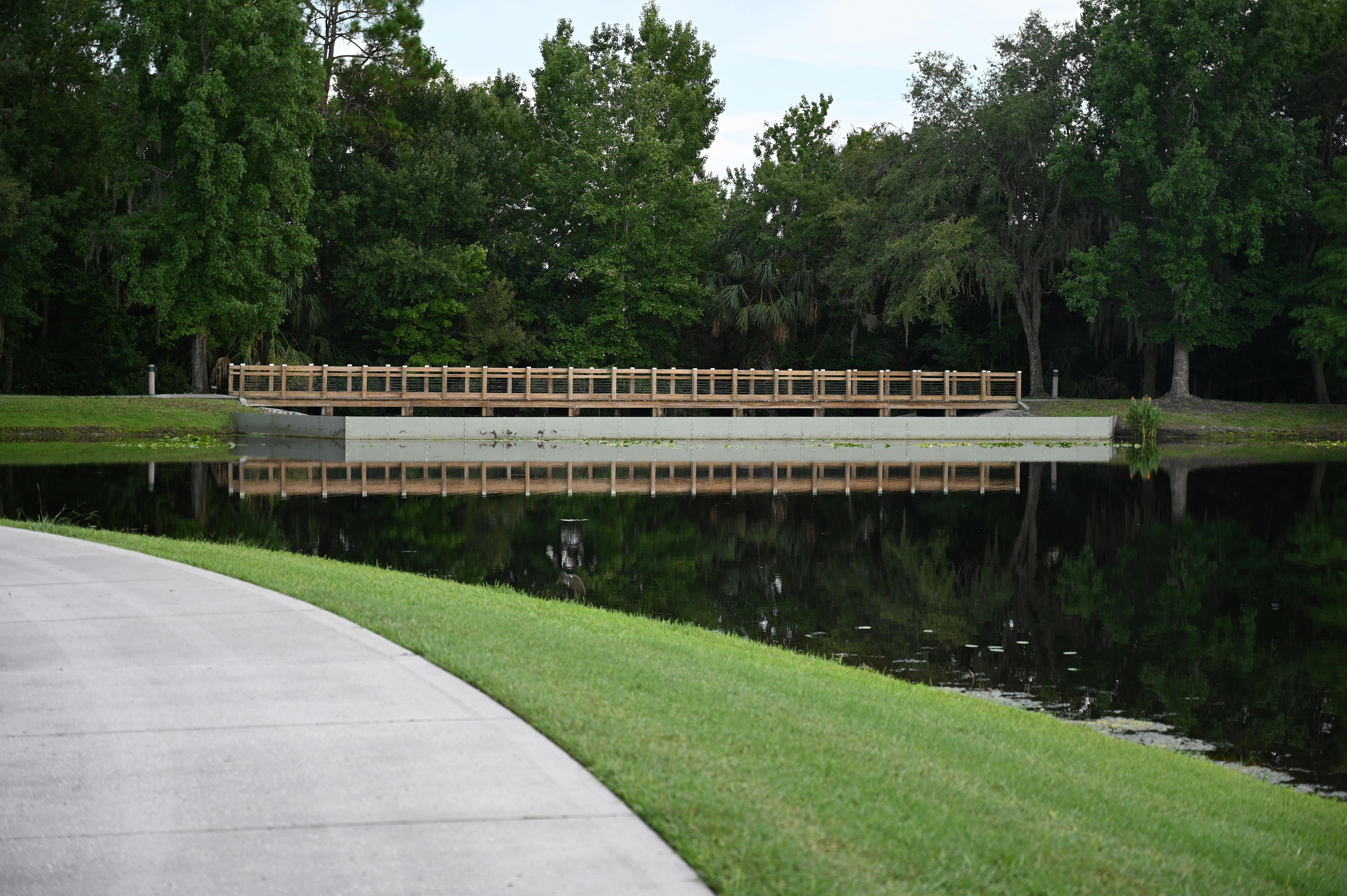 Concrete Bridge over a River · Free Stock Photo