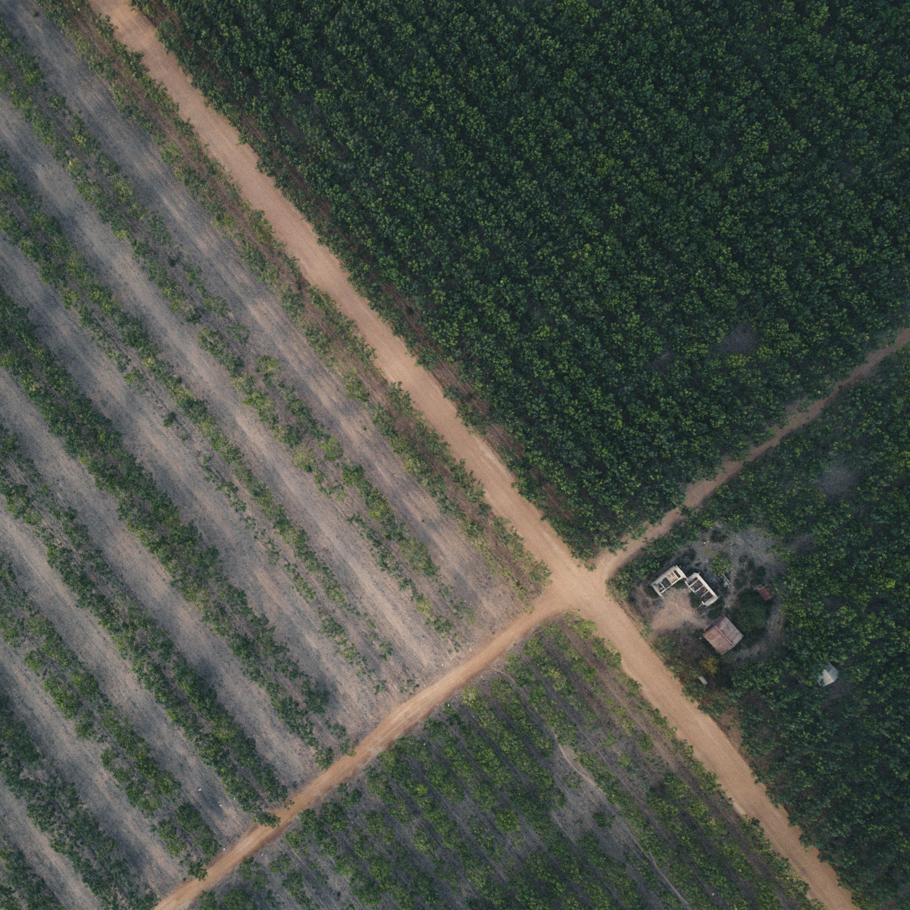 What is Sustainable Brand Development – Logomakershop Glossary