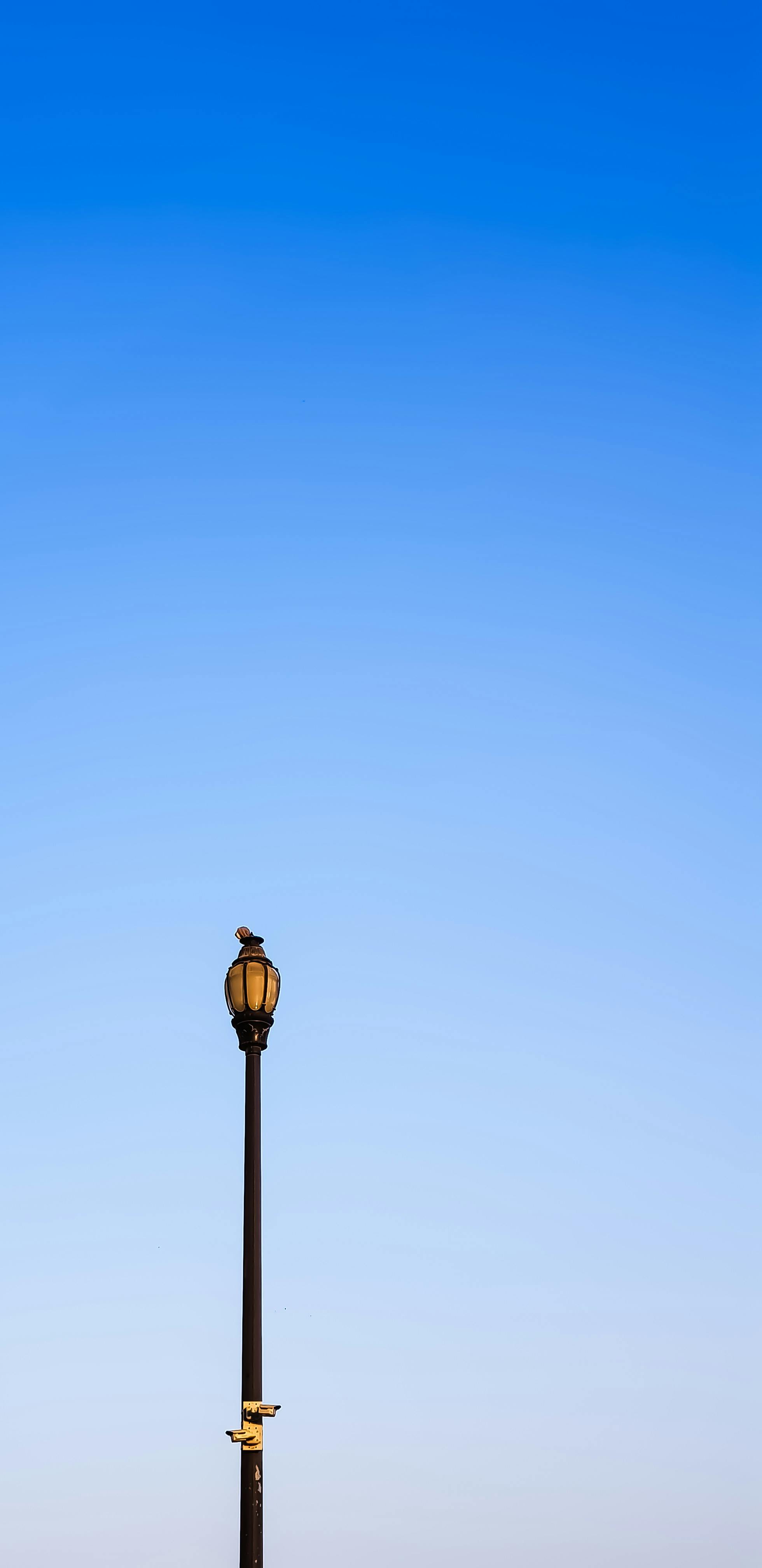 Lamppost Background Photos, Download The BEST Free Lamppost Background ...