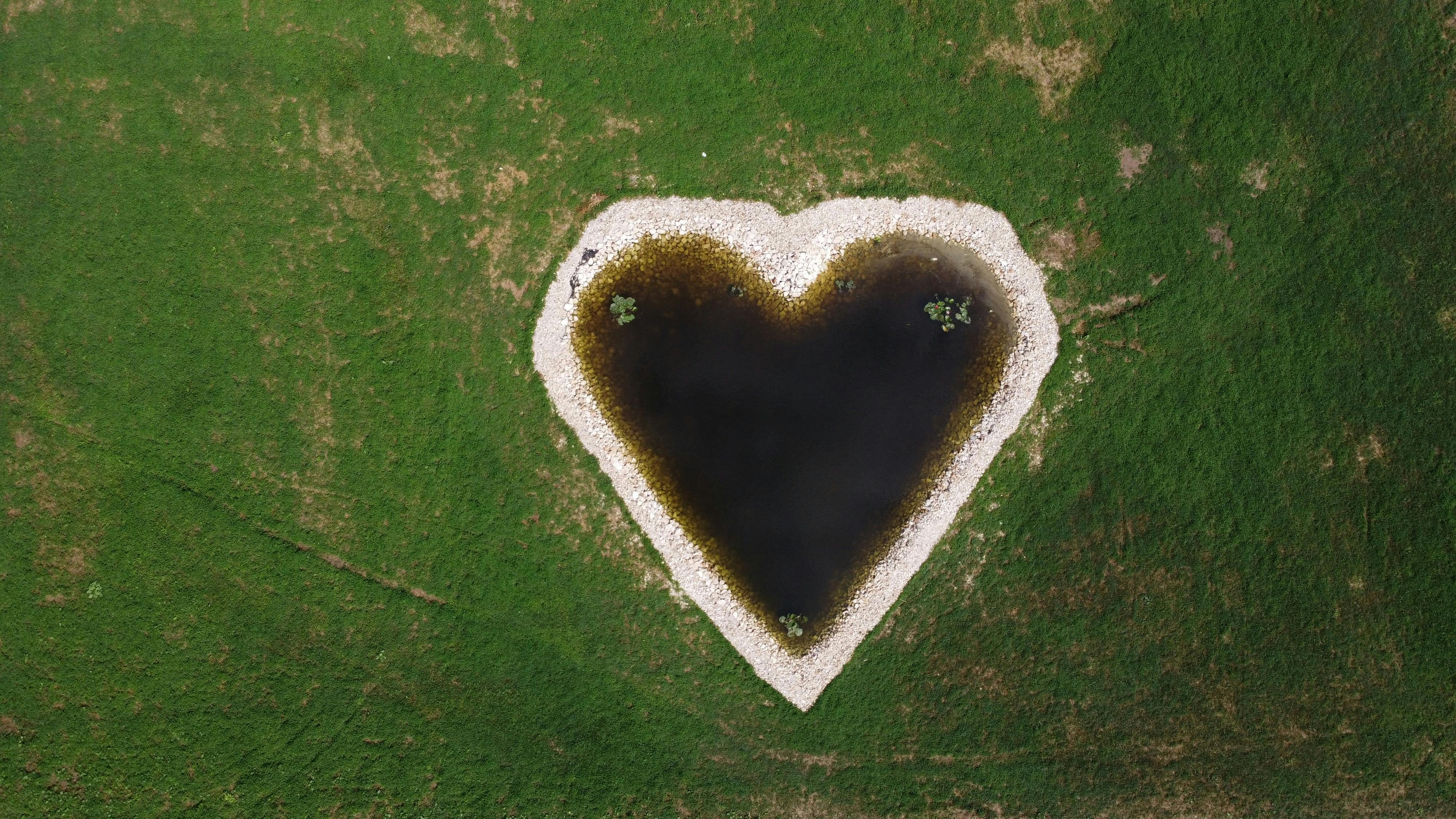 Birds Eye View of a Heart Shaped Pond · Free Stock Photo