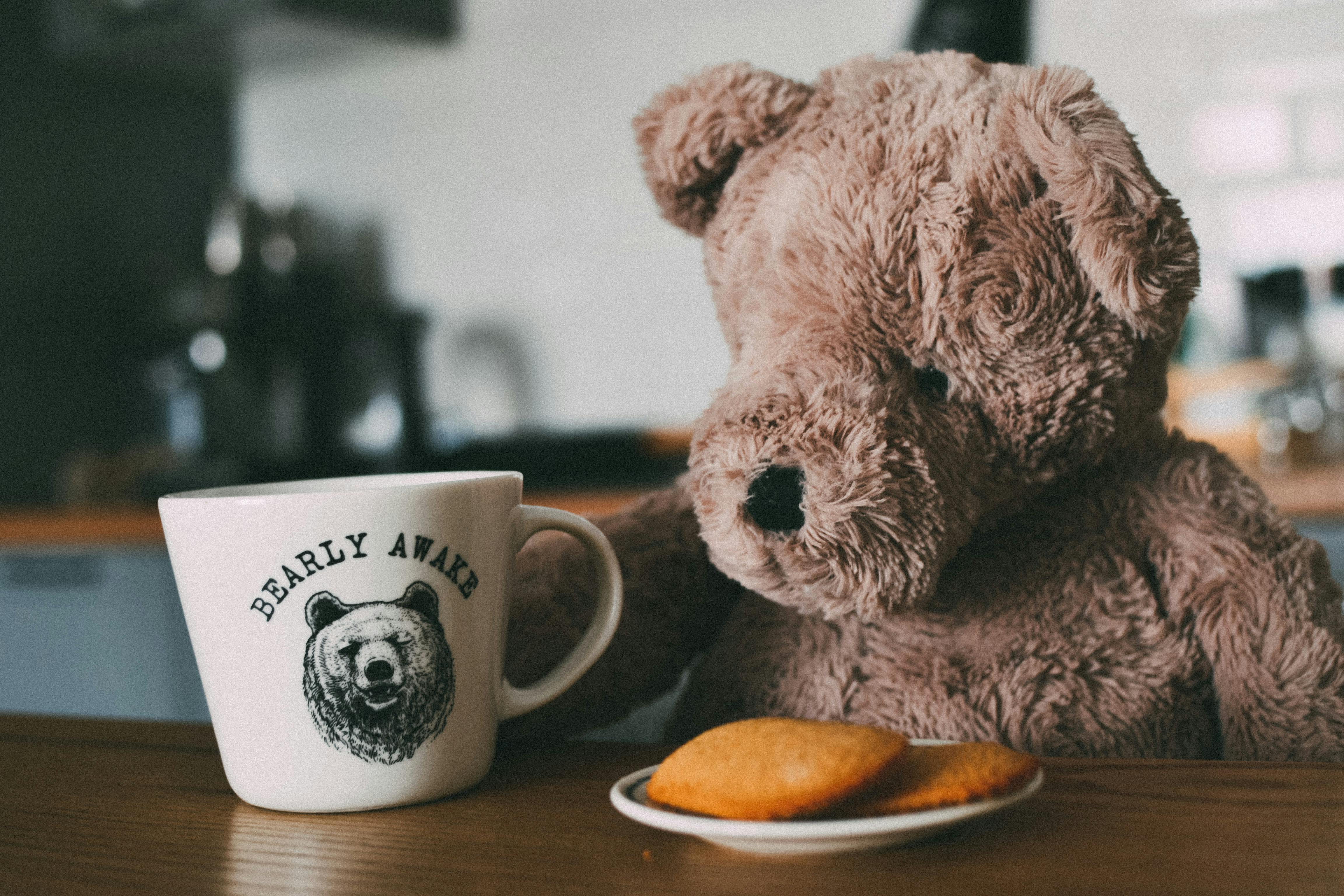 Beige Teddy Bear with Tea Cup and Cakes · Free Stock Photo