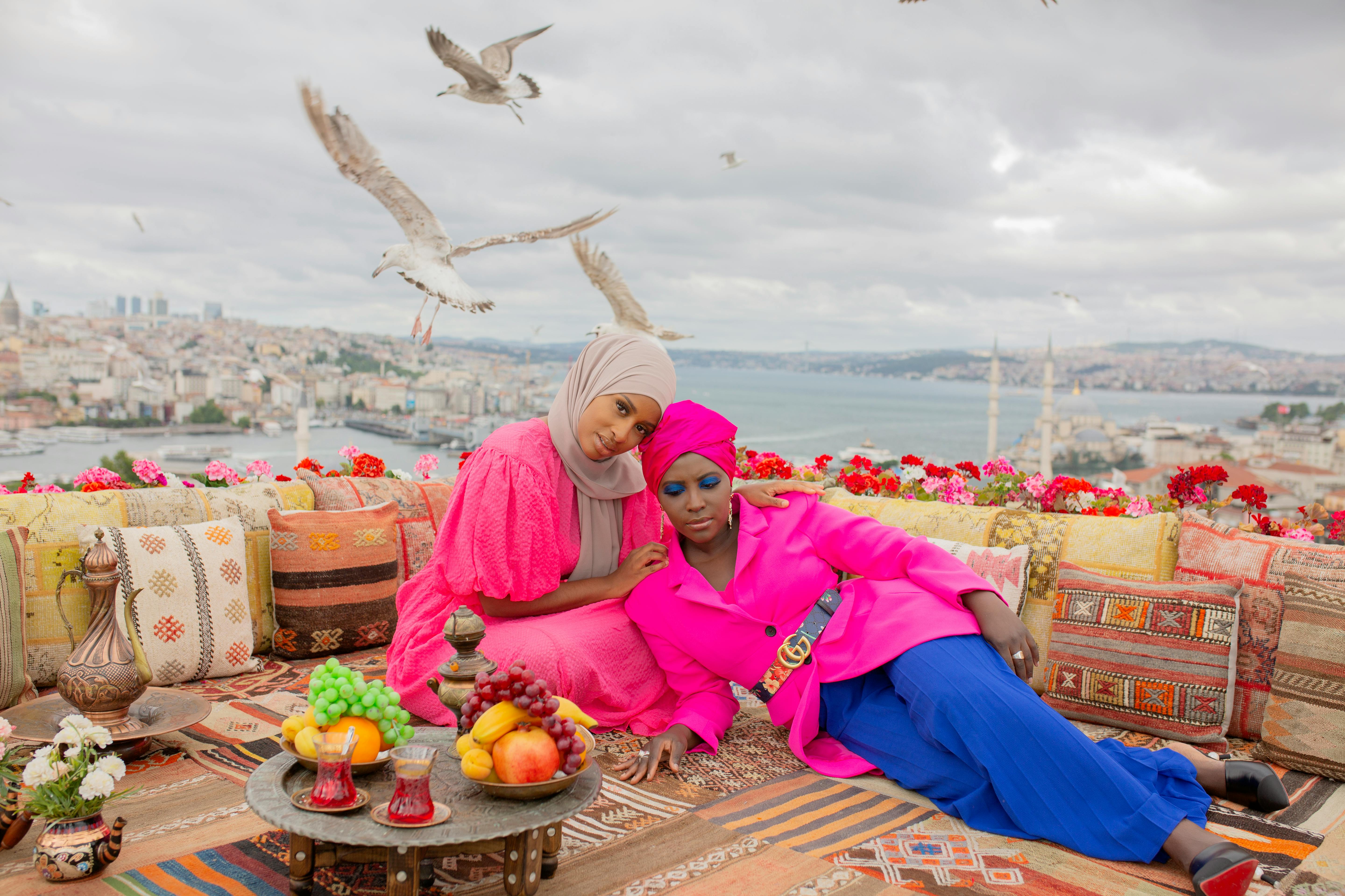 Birds Setting Photos, Download The BEST Free Birds Setting Stock Photos ...