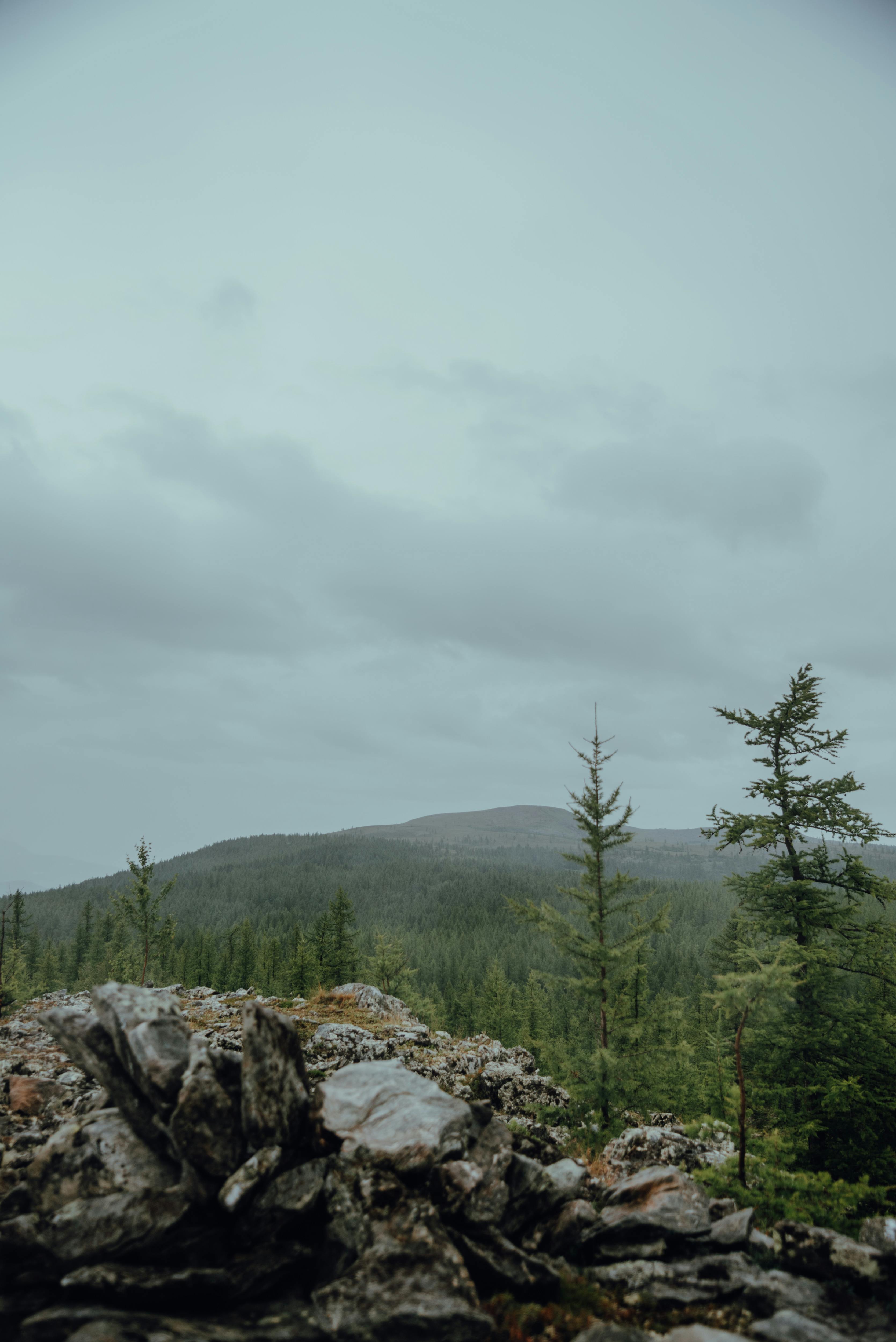 Green Trees on Mountain under the Sky · Free Stock Photo