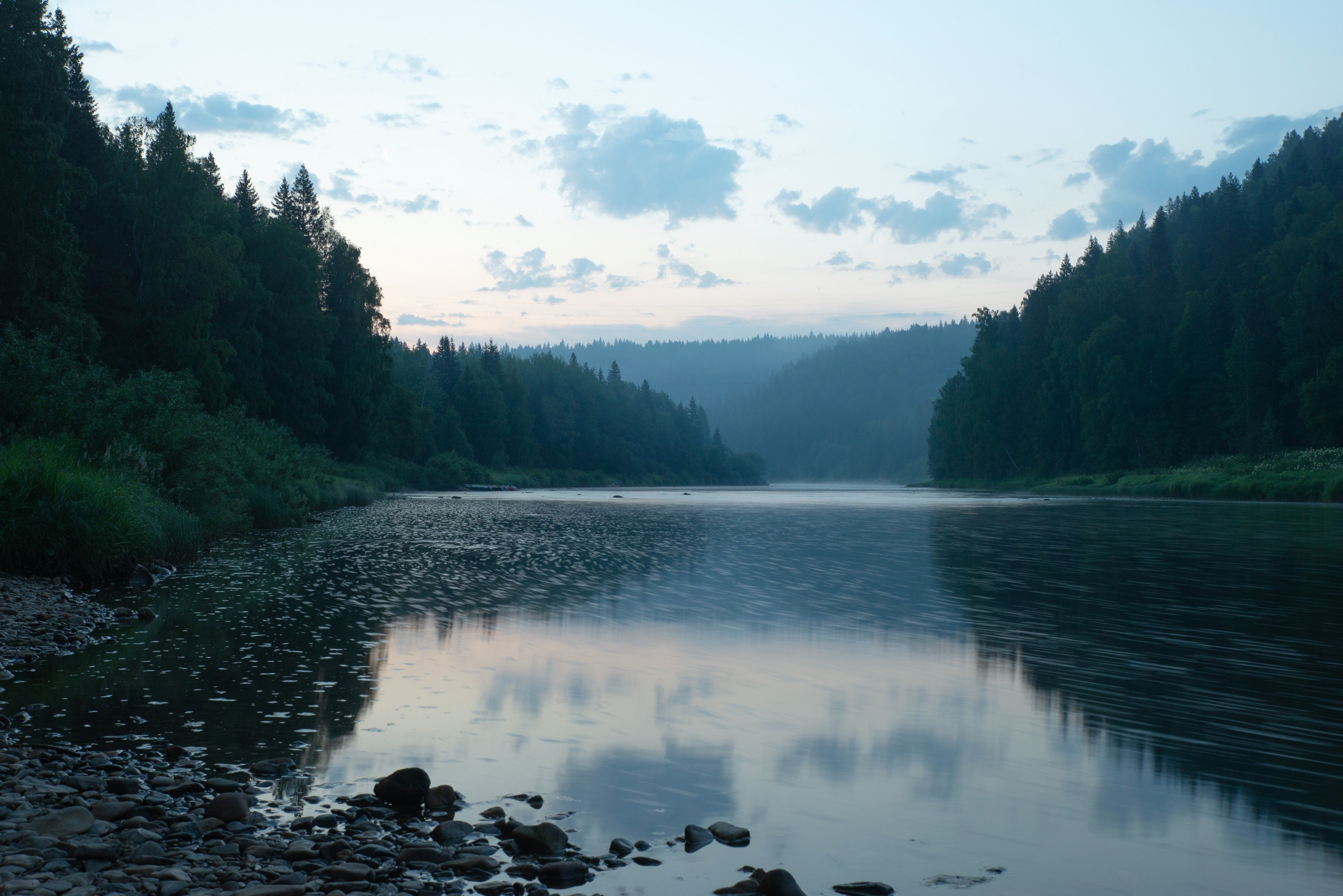Photo of River Between Trees · Free Stock Photo
